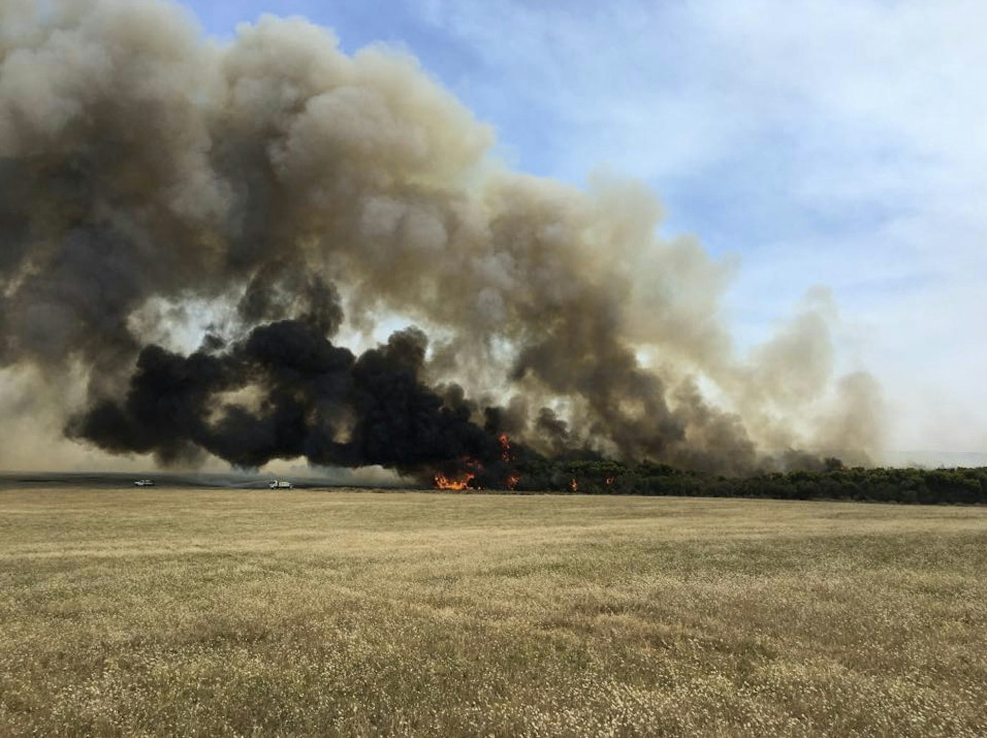 How to prepare your home for a bushfire – and when to leave