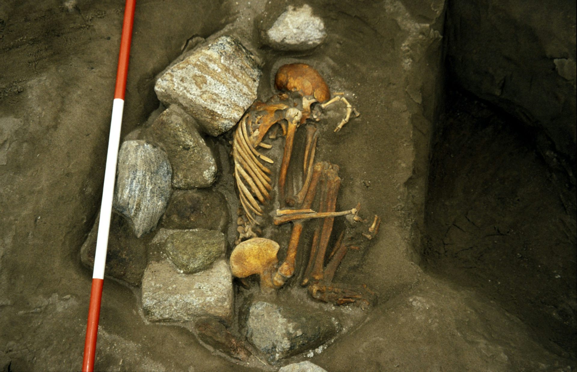 Solved: the mystery of Britain’s Bronze Age mummies