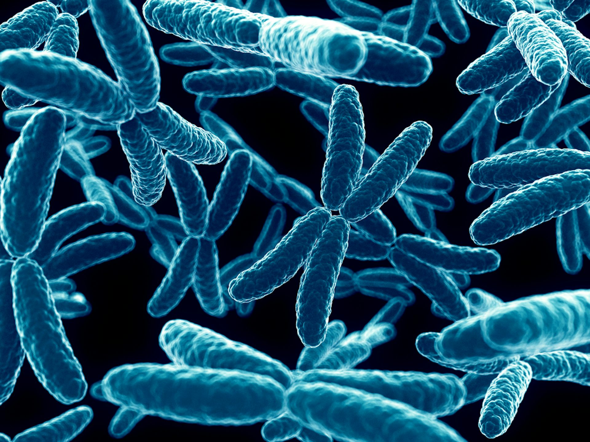 Why is the X chromosome so odd? Traffic analogy helped us crack the mystery