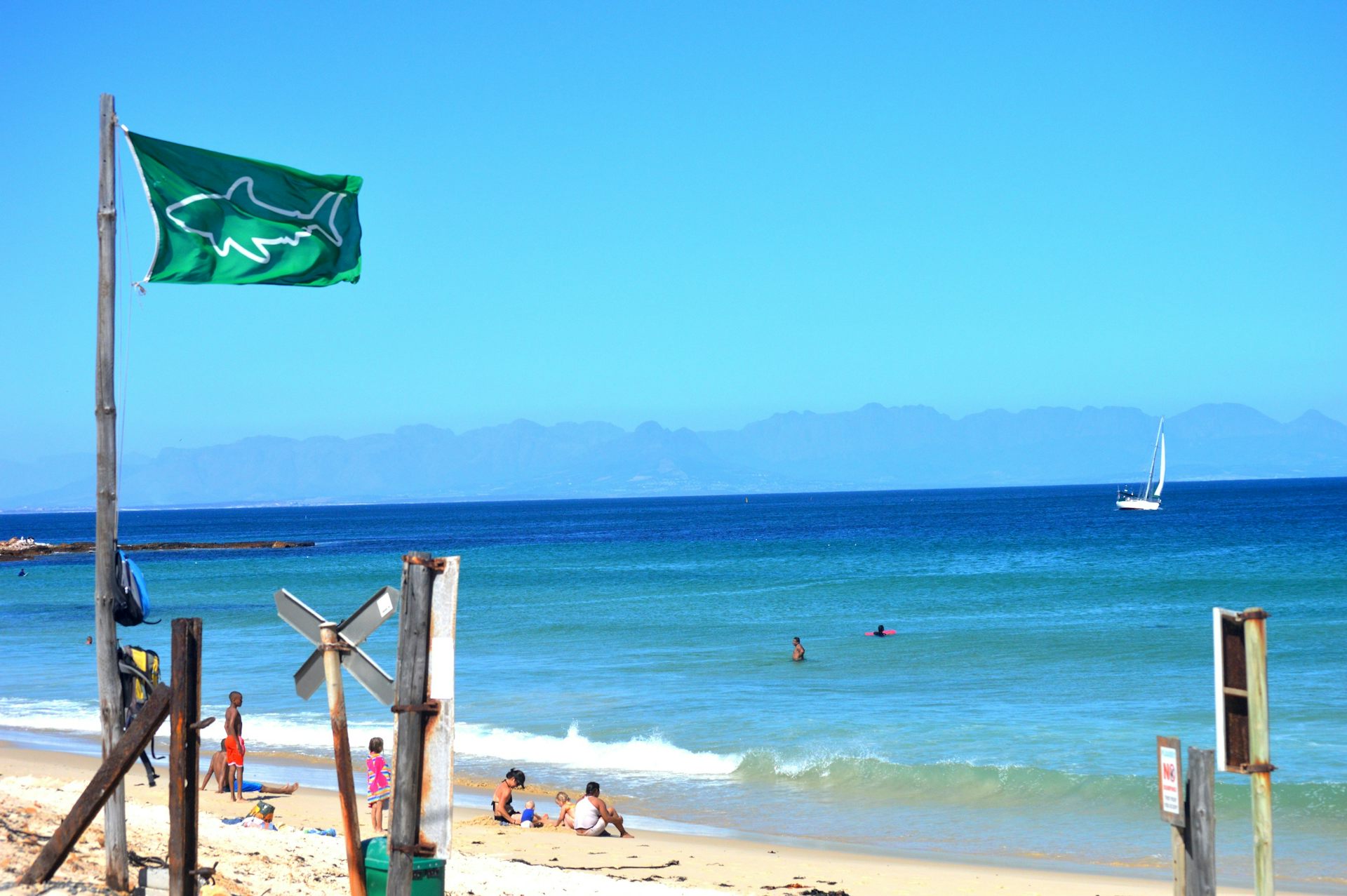 Four useful tips on how to be shark smart this summer