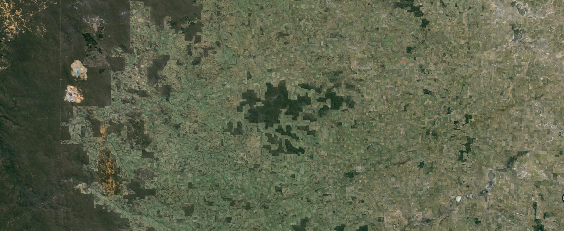 Unique Australian wildlife risks vanishing as ecosystems suffer death ...