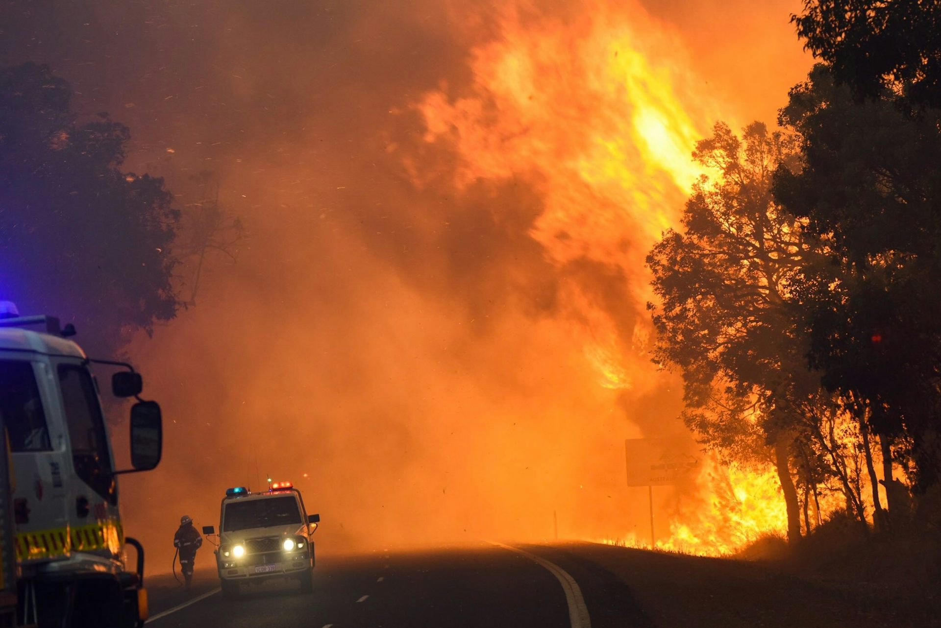 Expectations and harsh reality: why bushfire warnings fail