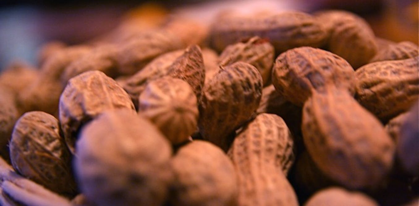 Food Allergies Linked To Overactive Immune System At Birth
