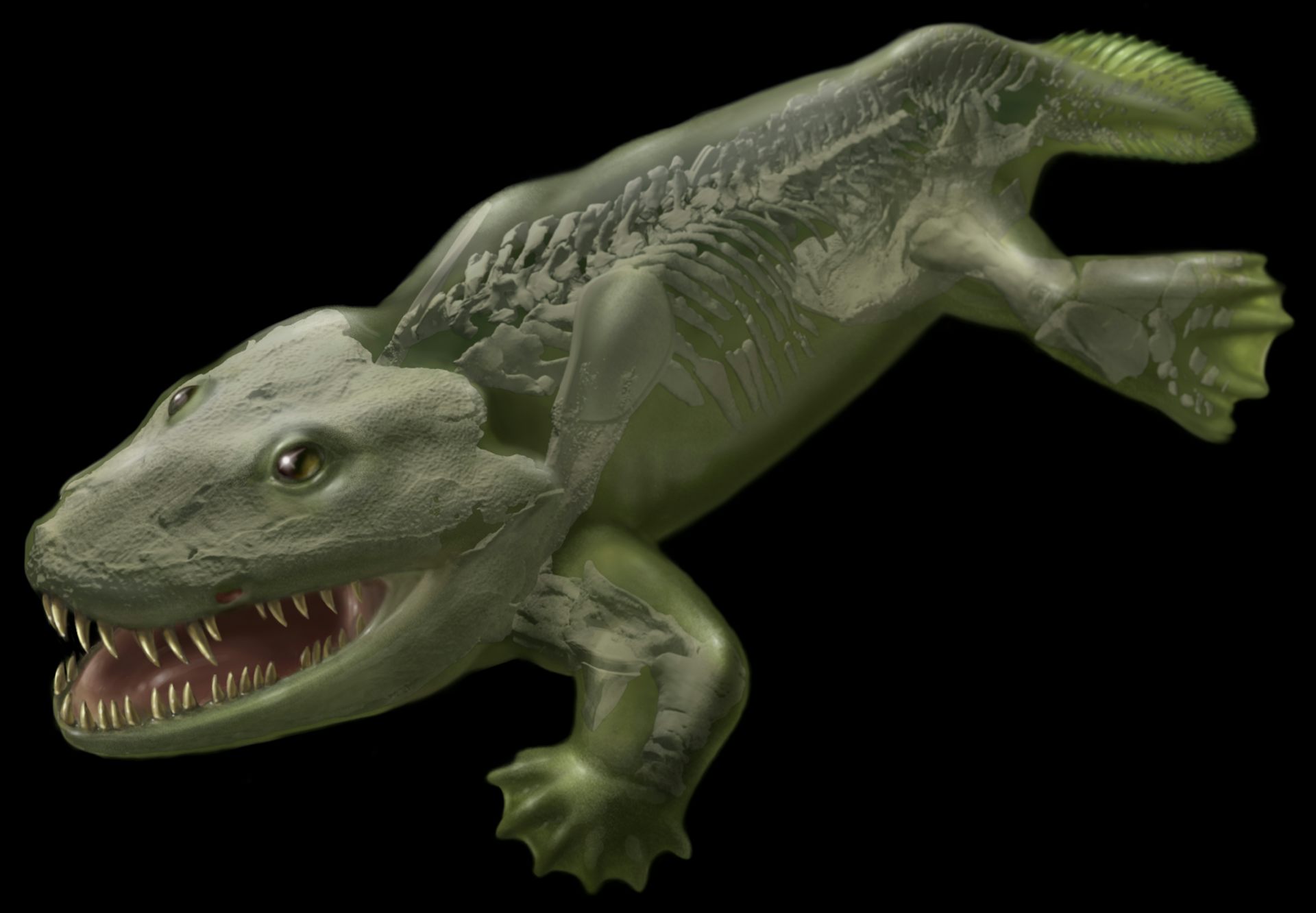 Shift to shore: new model shows off extinct tetrapod's land moves