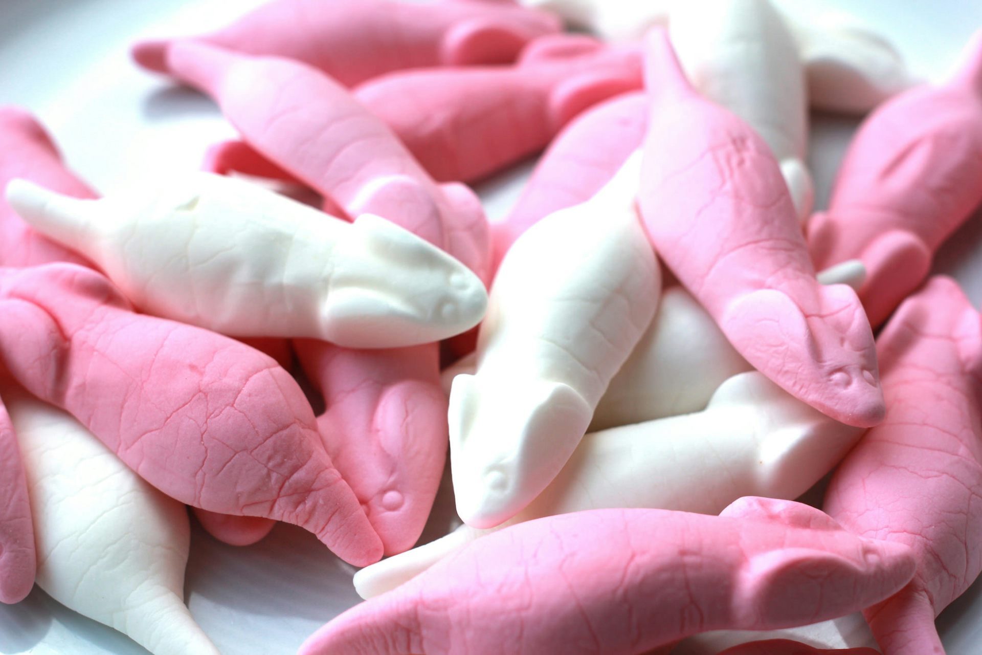 Sugar may be as damaging to the brain as extreme stress or abuse