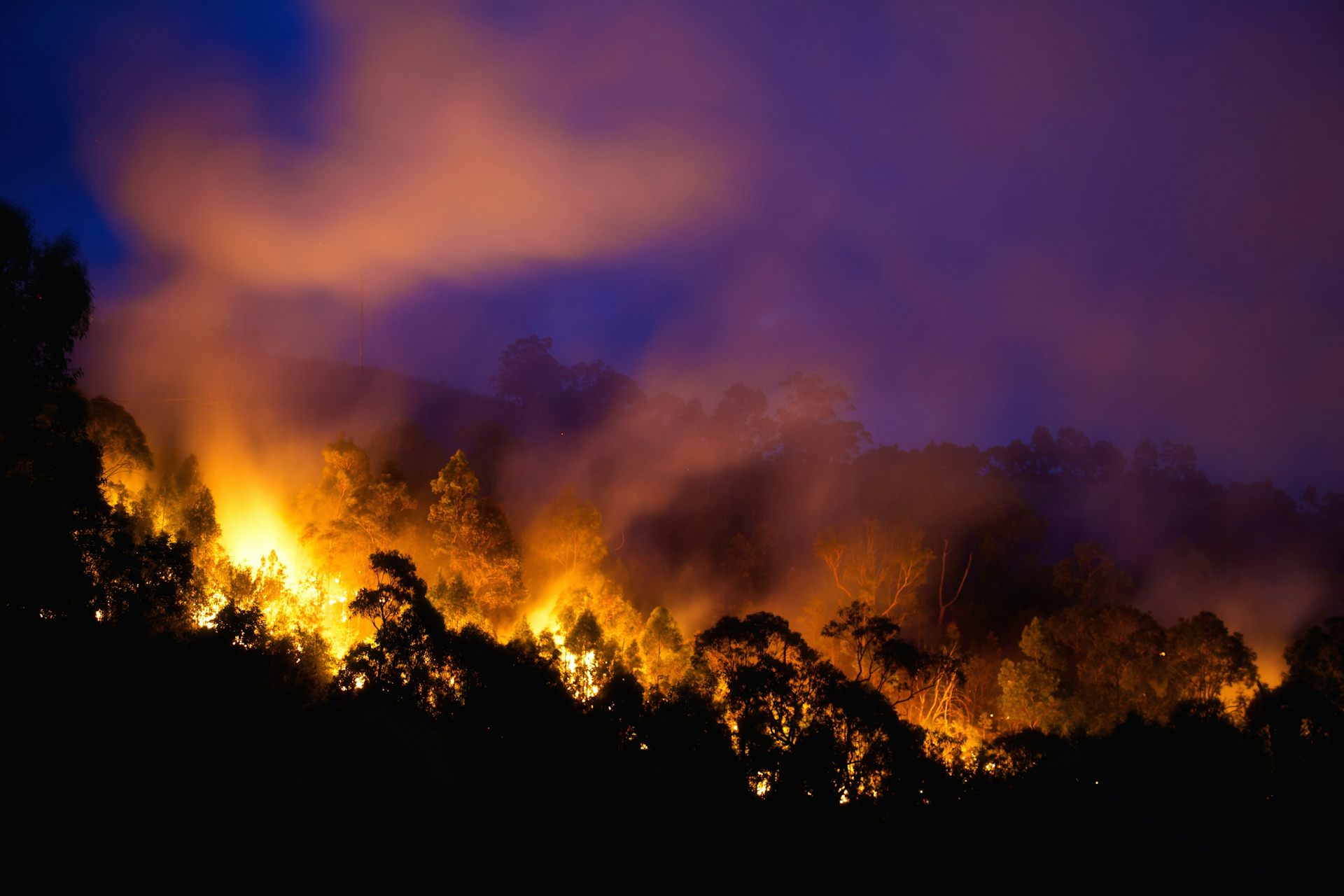 Fires are increasing in warming world, but a new model could help us ...