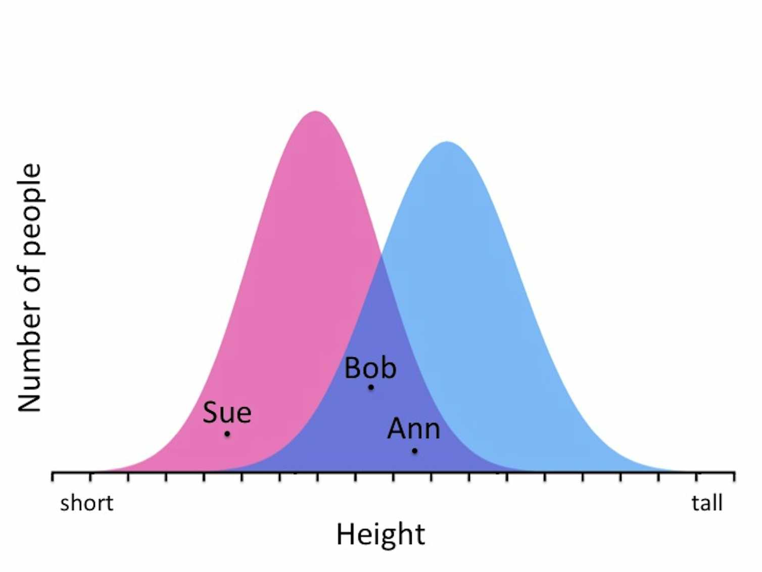 A Beginners Guide To Sex Differences In The Brain