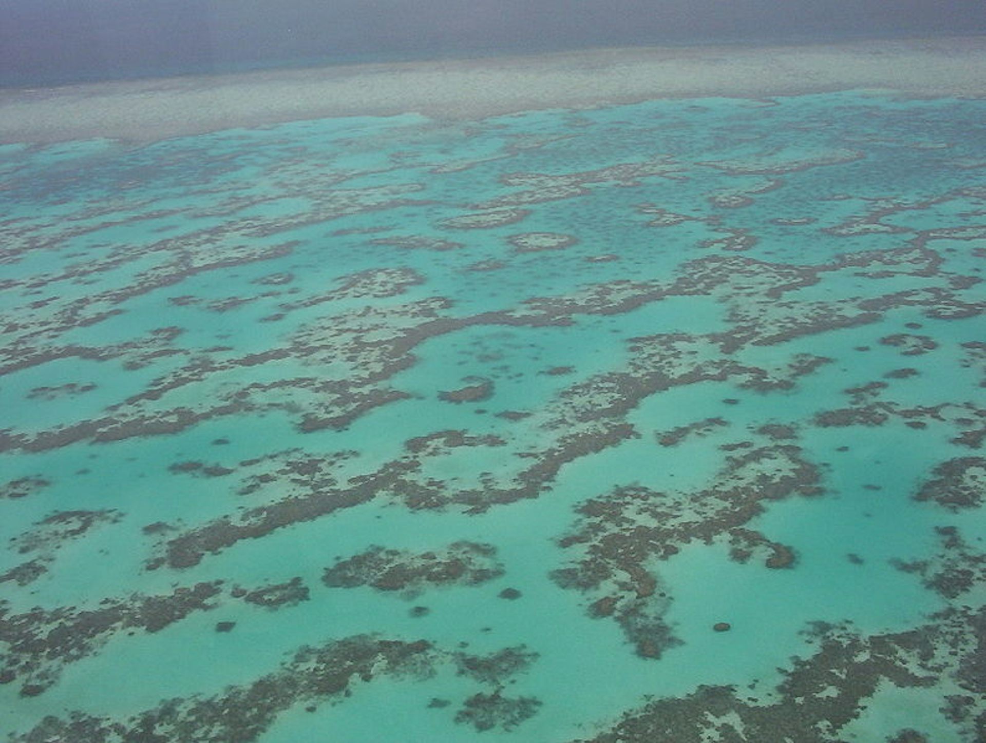 UNESCO's Great Barrier Reef report: experts respond