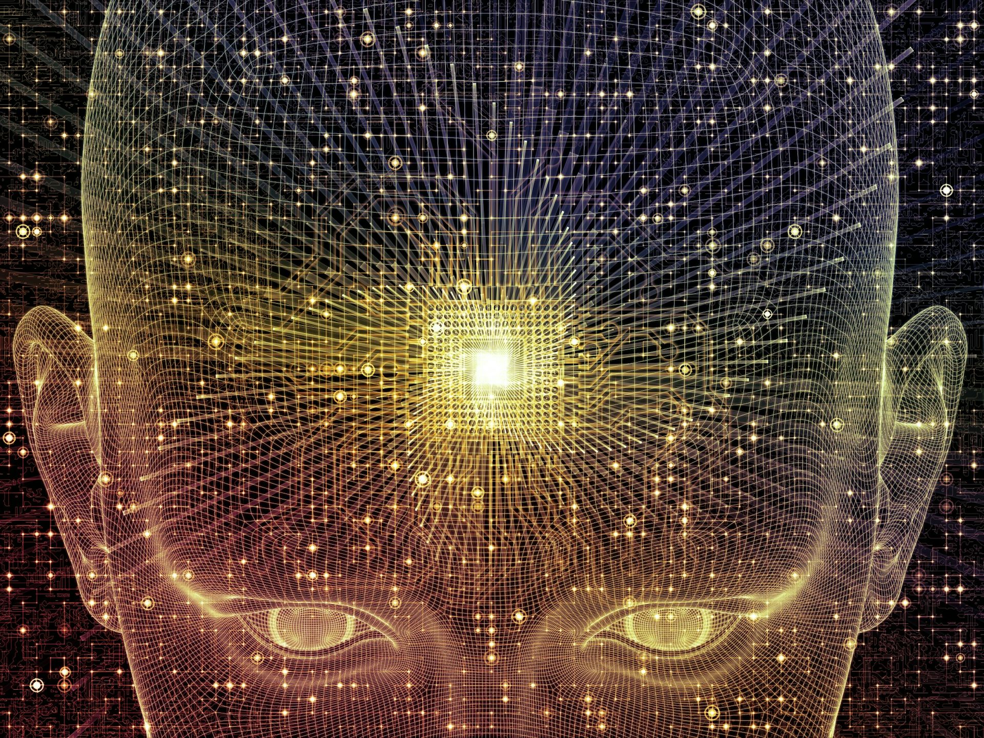 What makes us conscious?