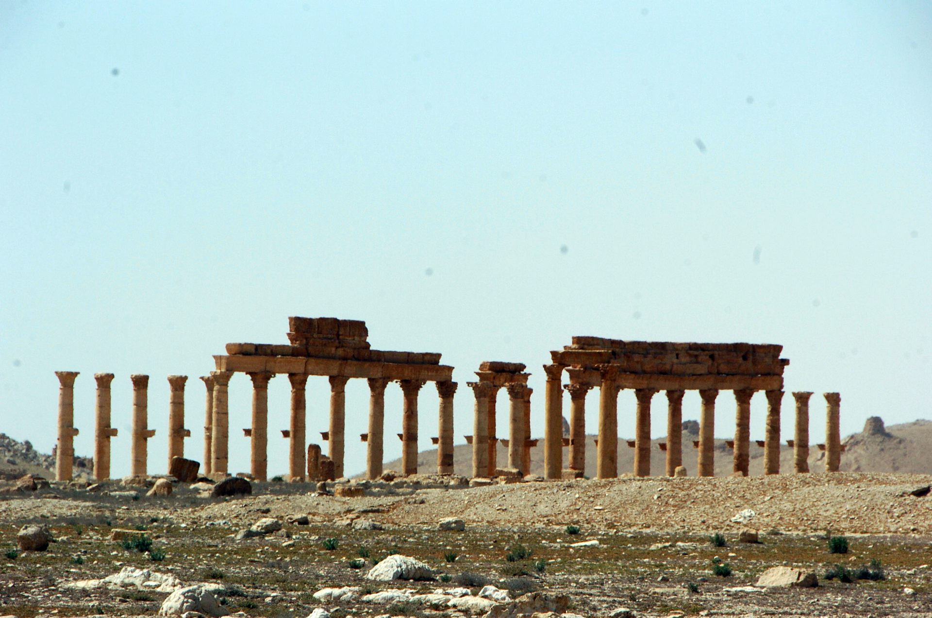 Explained: strategy behind the battle to rescue the ruins of Palmyra