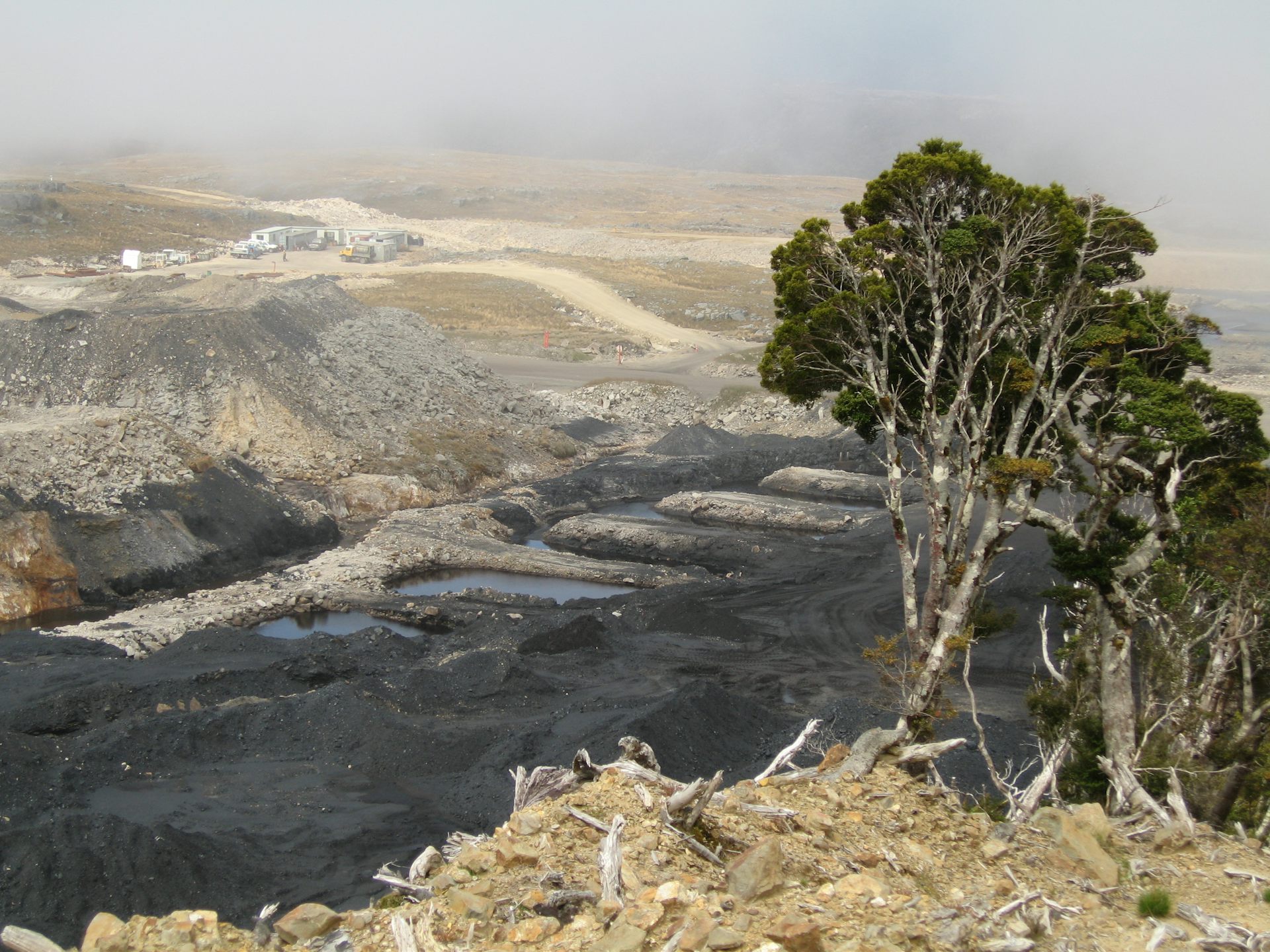 Climate change threatens entire ecosystems – let’s pick them up and ...