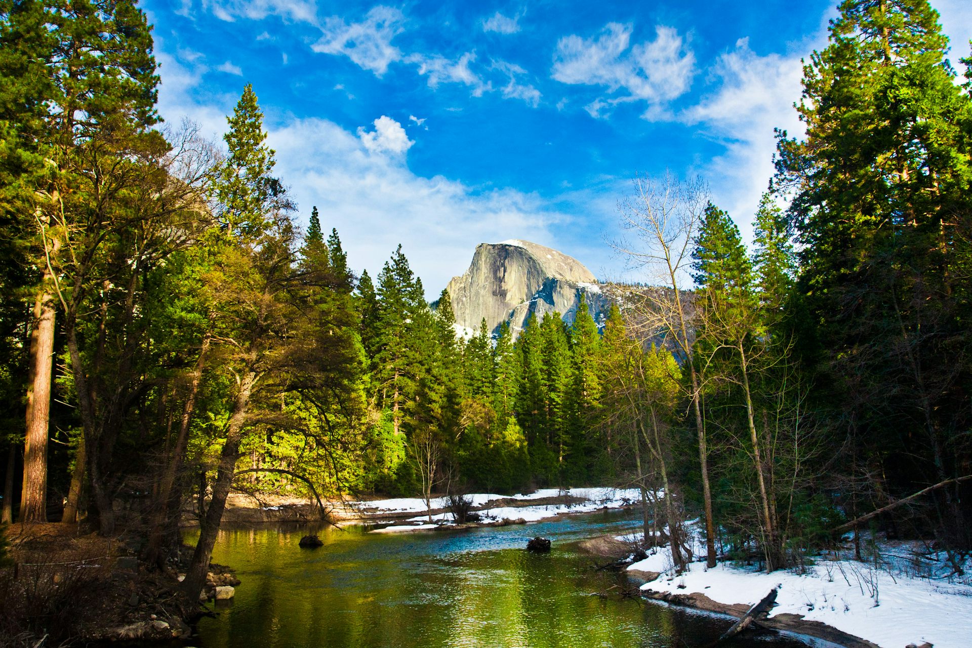 How John Muir’s incessant study saved Yosemite