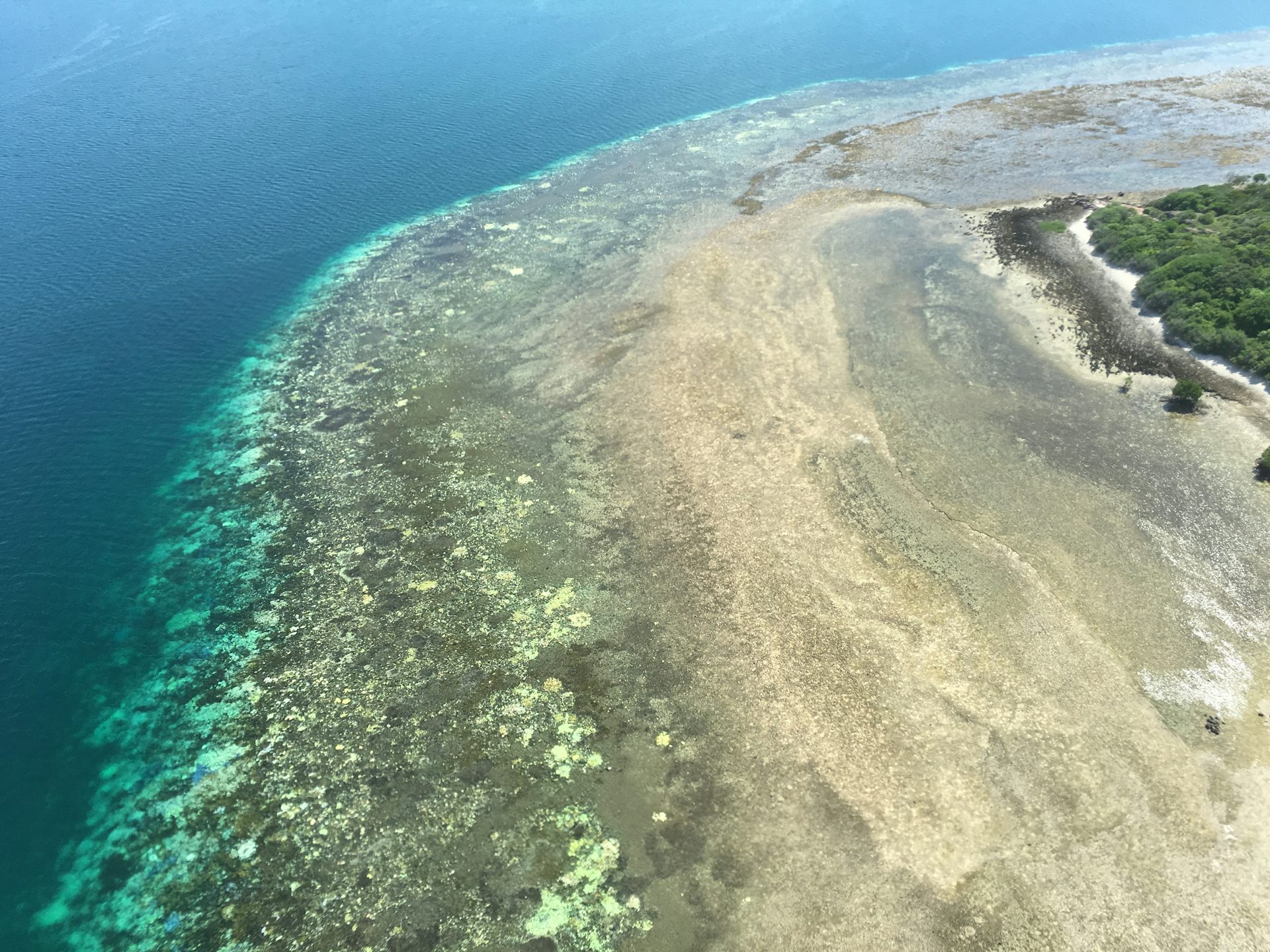 Great Barrier Reef bleaching stats are bad enough without media ...
