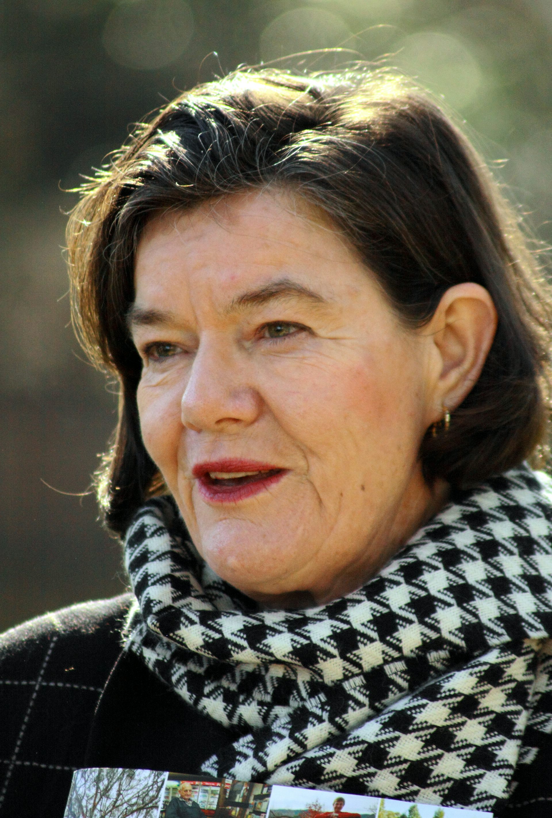 Election podcast: the Indi project