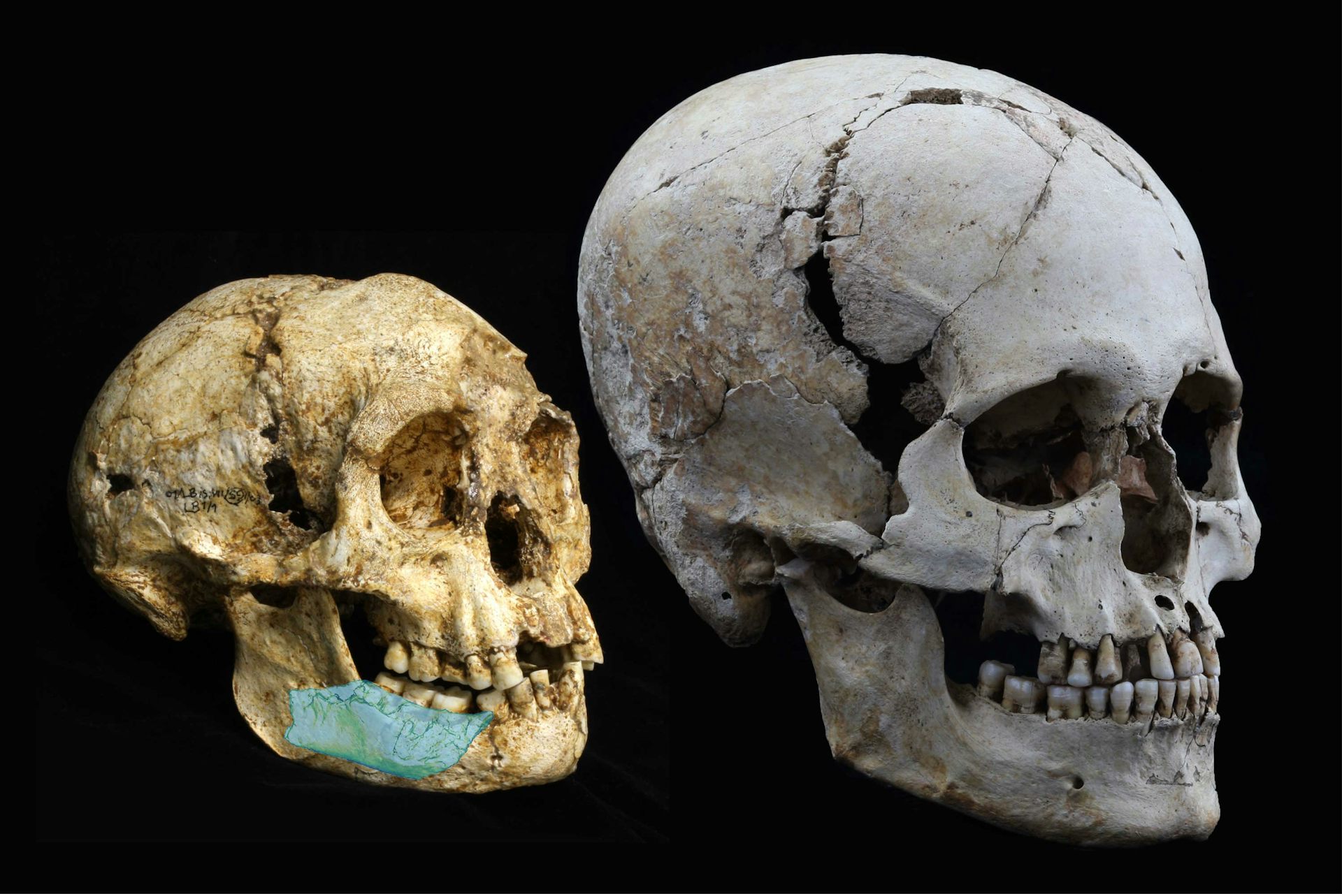 A 700,000-year-old fossil find shows the Hobbits’ ancestors were even ...