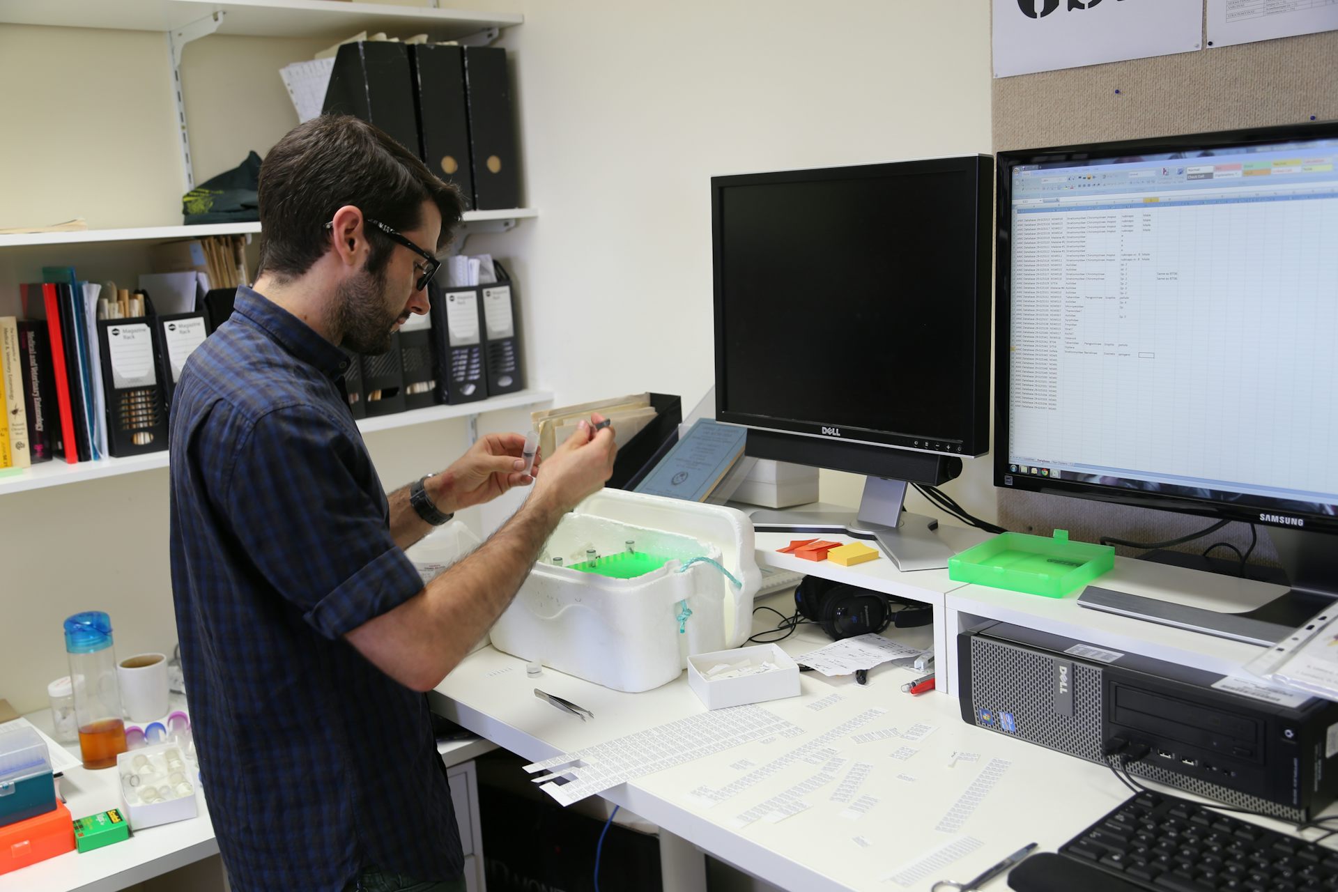 Why so many Australian species are yet to be named