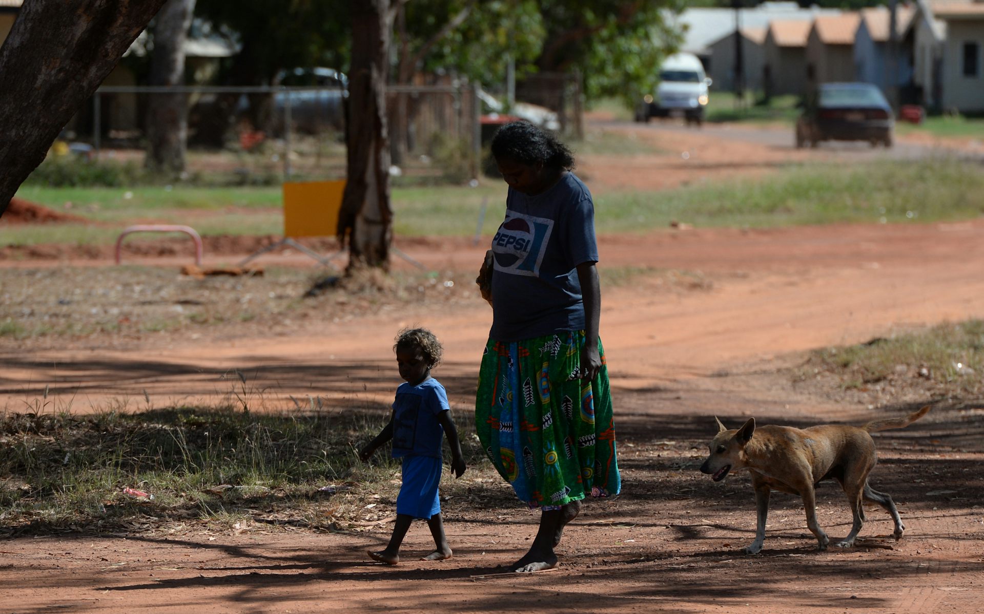 Indigenous suicide rates in the Kimberley seven times national average
