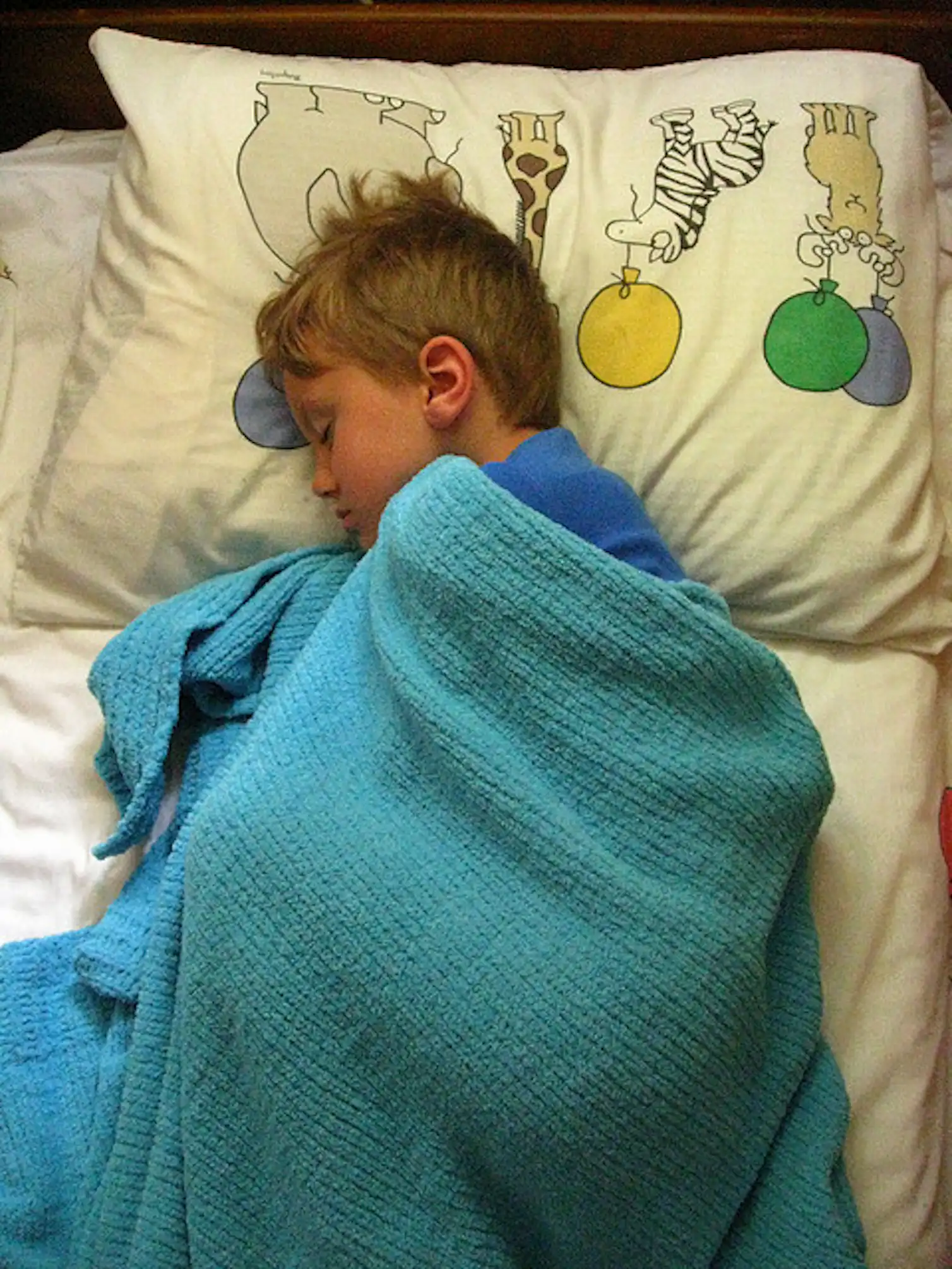 Explainer Childhood Sleep Disorders explainer-childhood-sleep-disorders