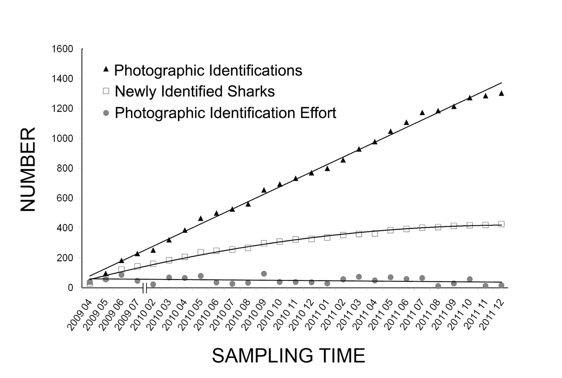 I spent the past seven years counting white sharks – the findings are ...