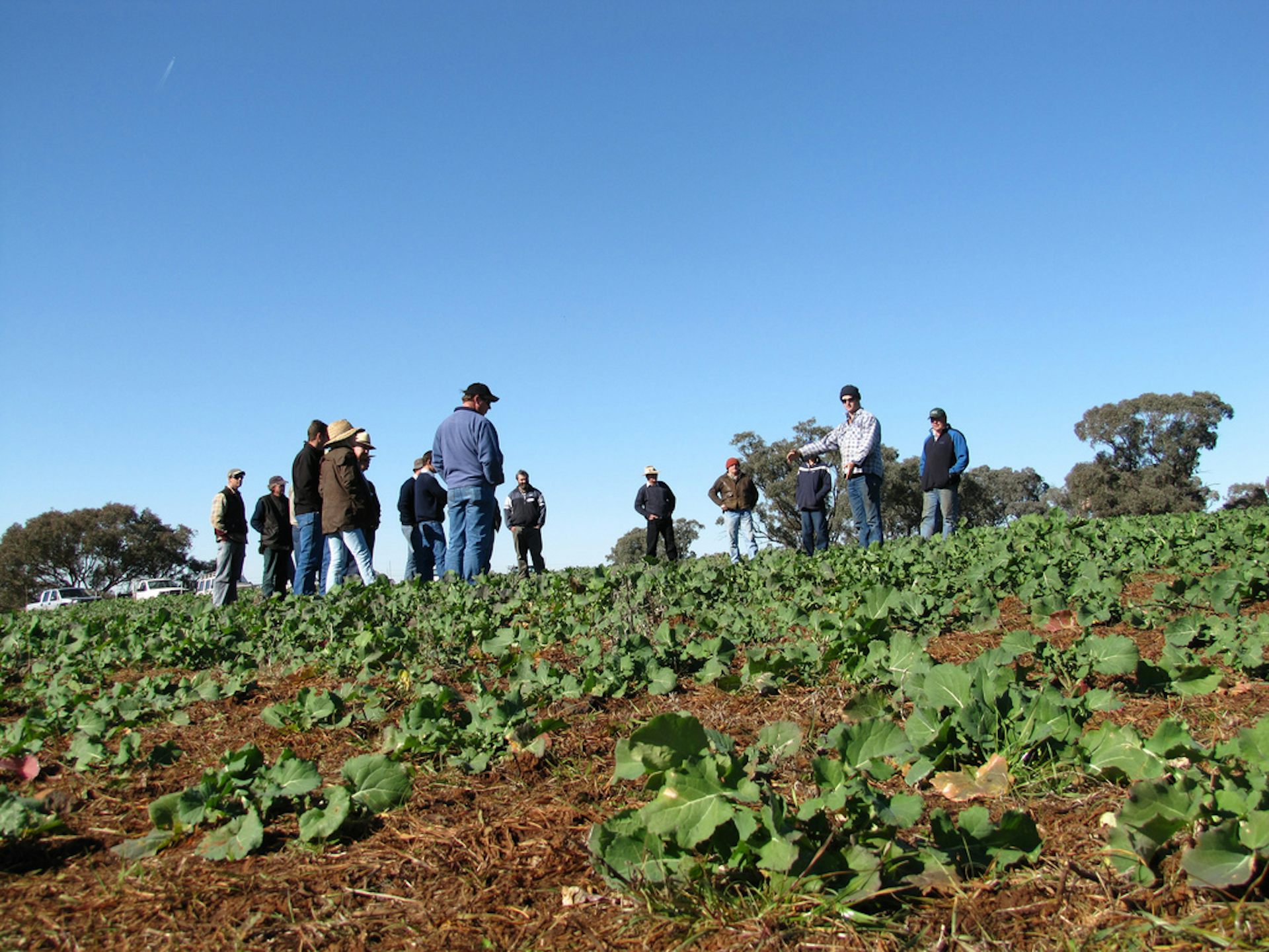 Little by little: the benefits of Australian climate policy