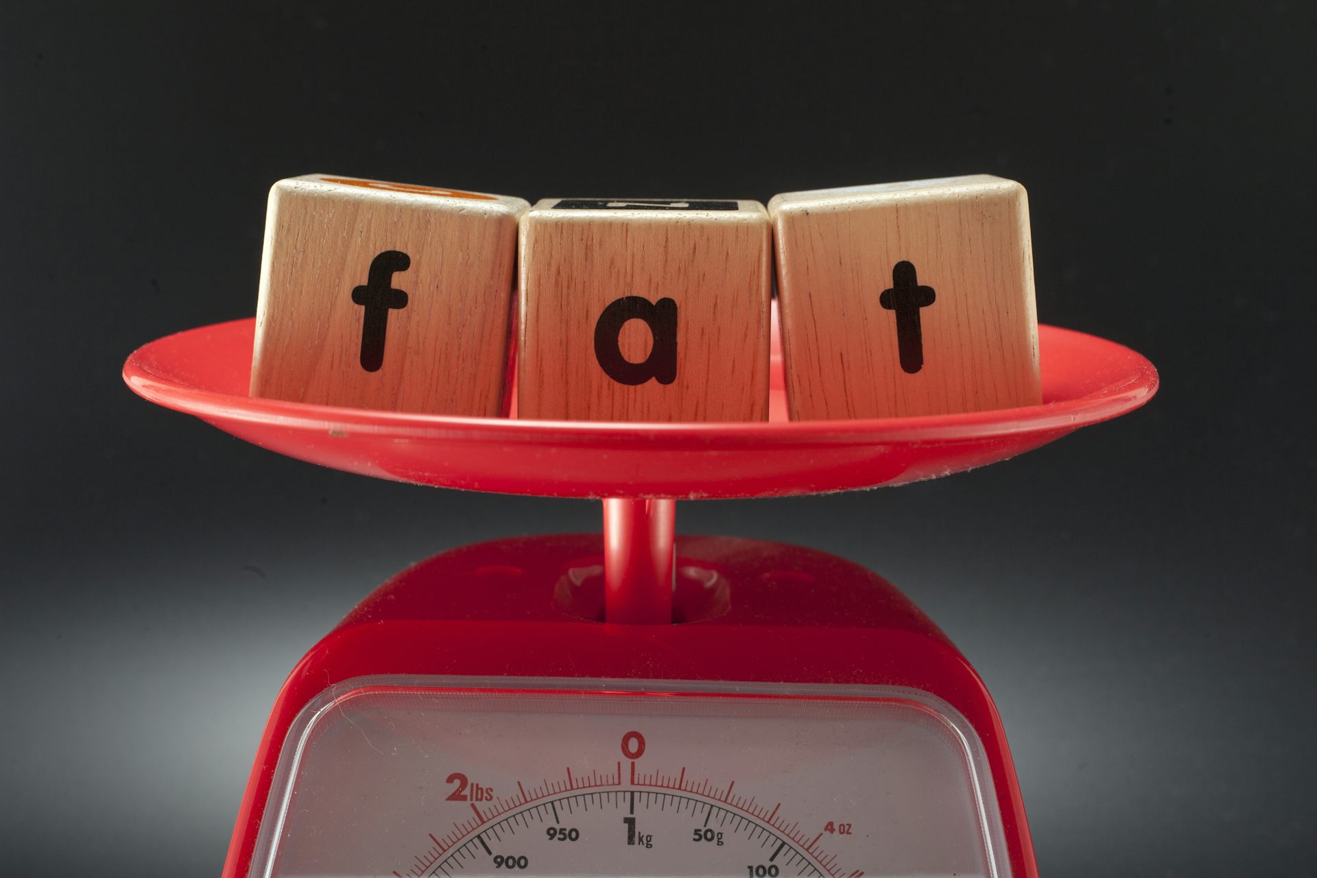 Explainer: what is fat studies?