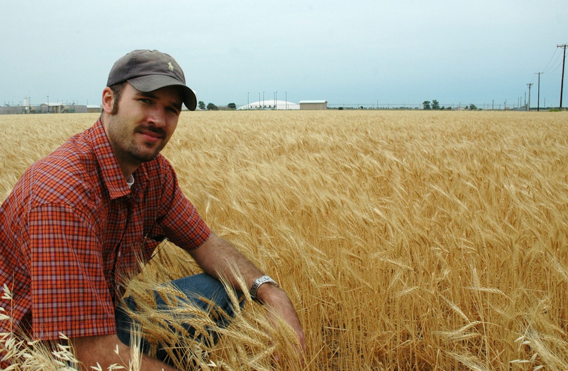 Crops hit by drought and biofuel policy: another food price crisis?