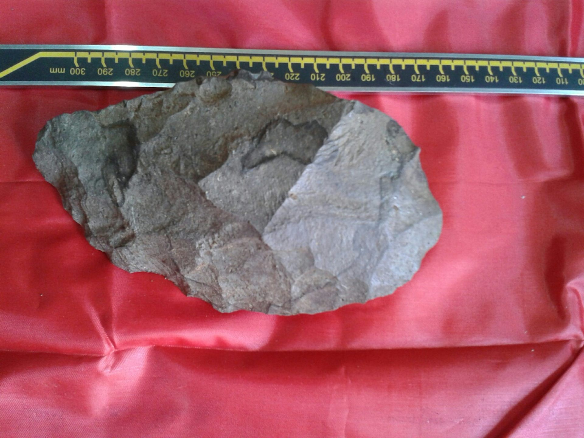 Raiders of the lost marks: how we uncovered the mysterious prehistoric ...