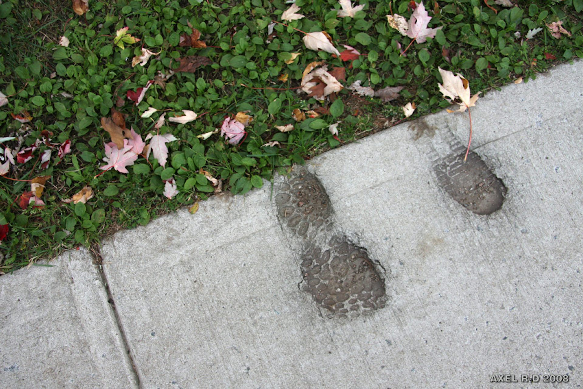 Give up or gird the loins? Australia’s ecological footprint