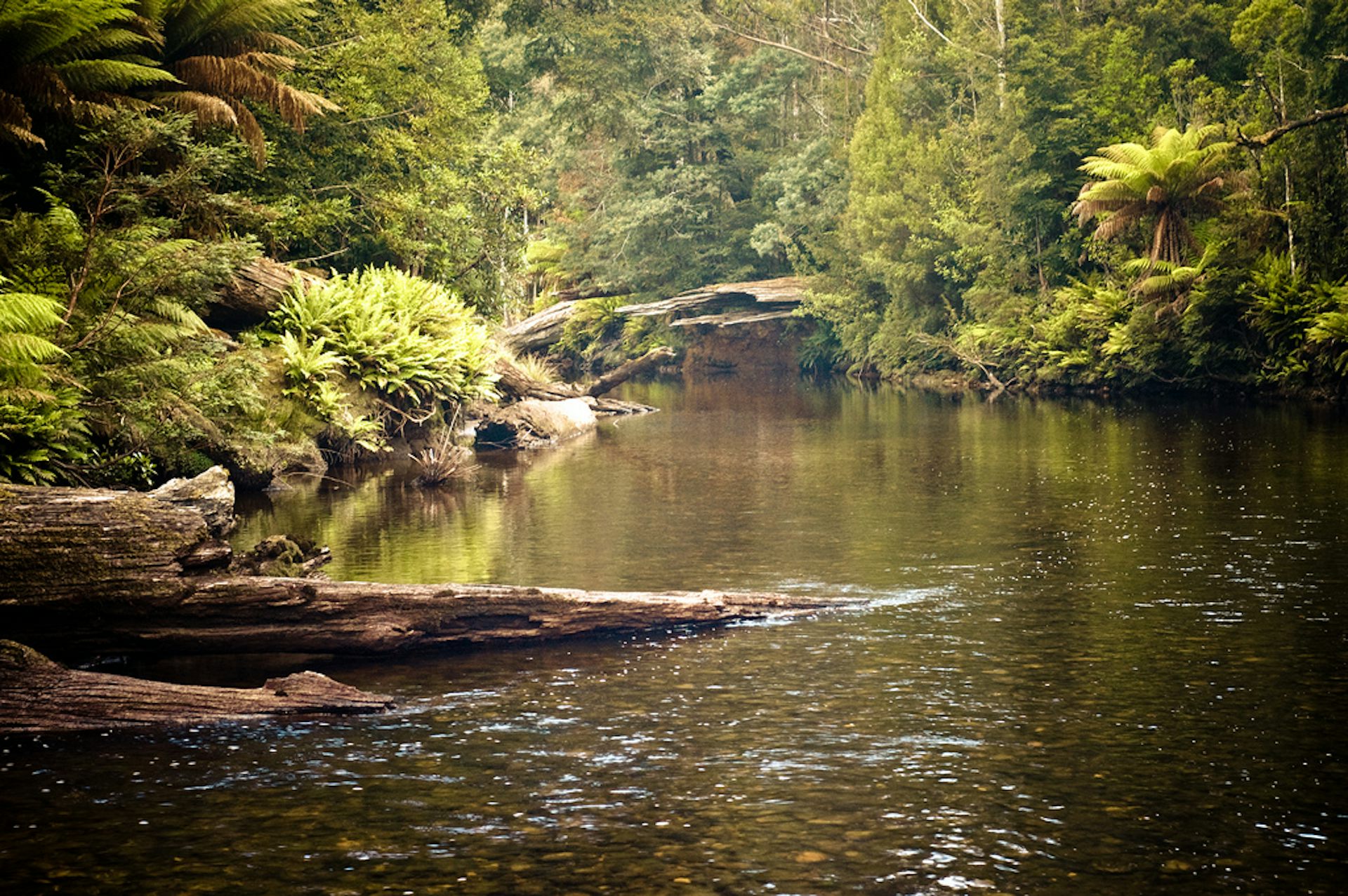 Is the Tasmanian forest agreement collapsing?