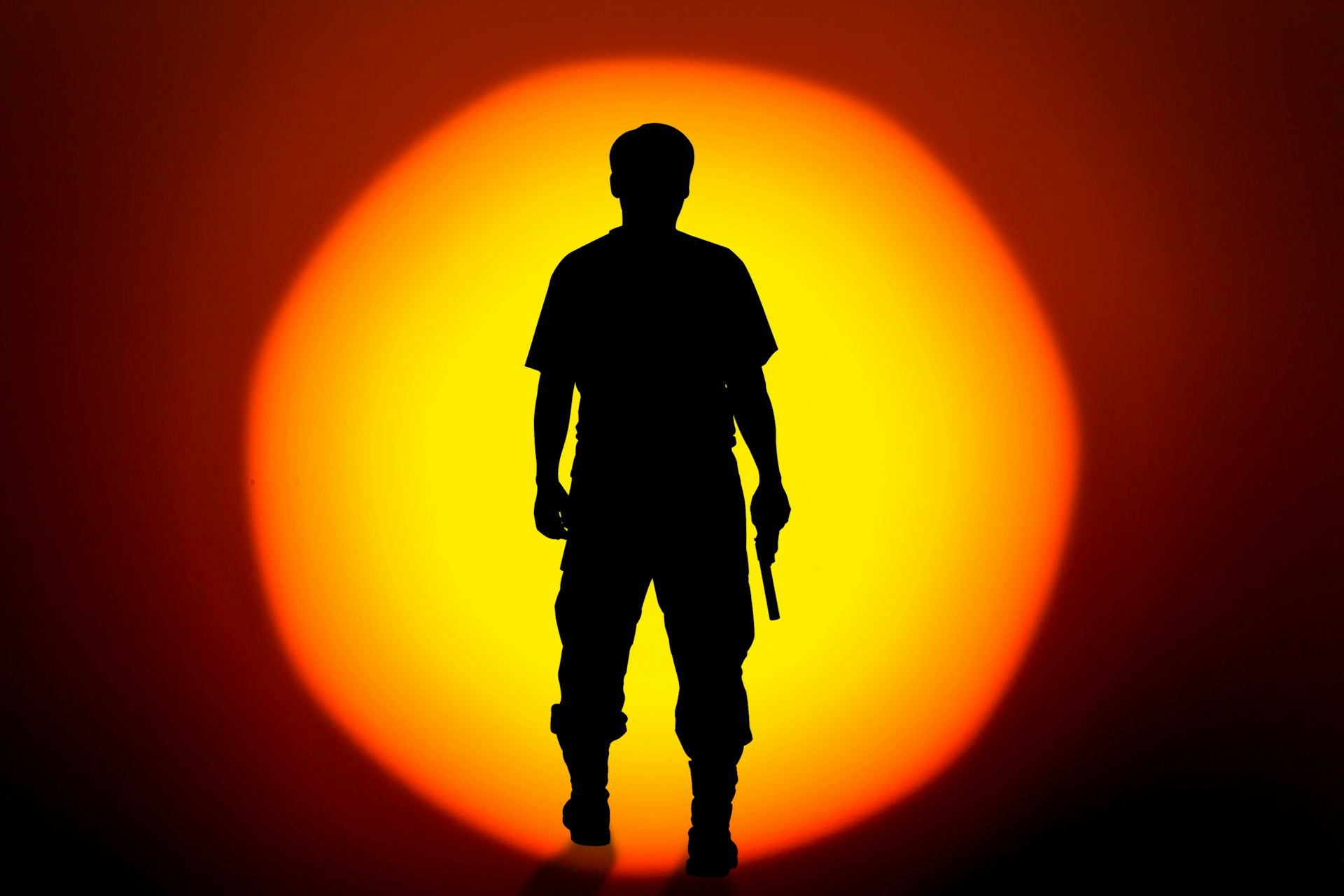 What drives lone offenders?