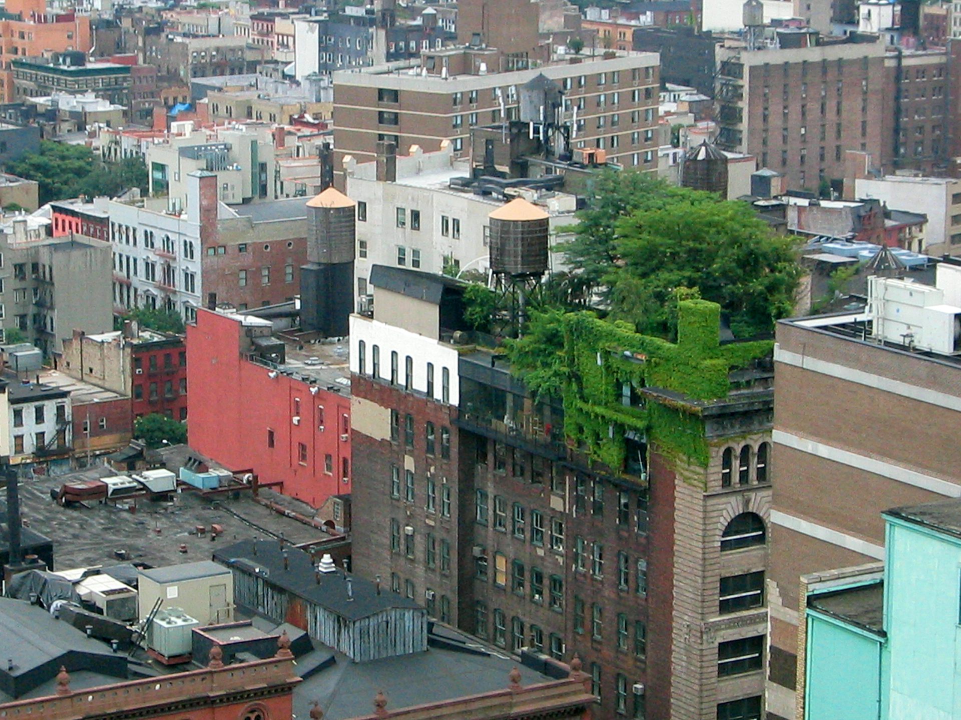 Why ‘green cities’ need to become a deeply lived experience