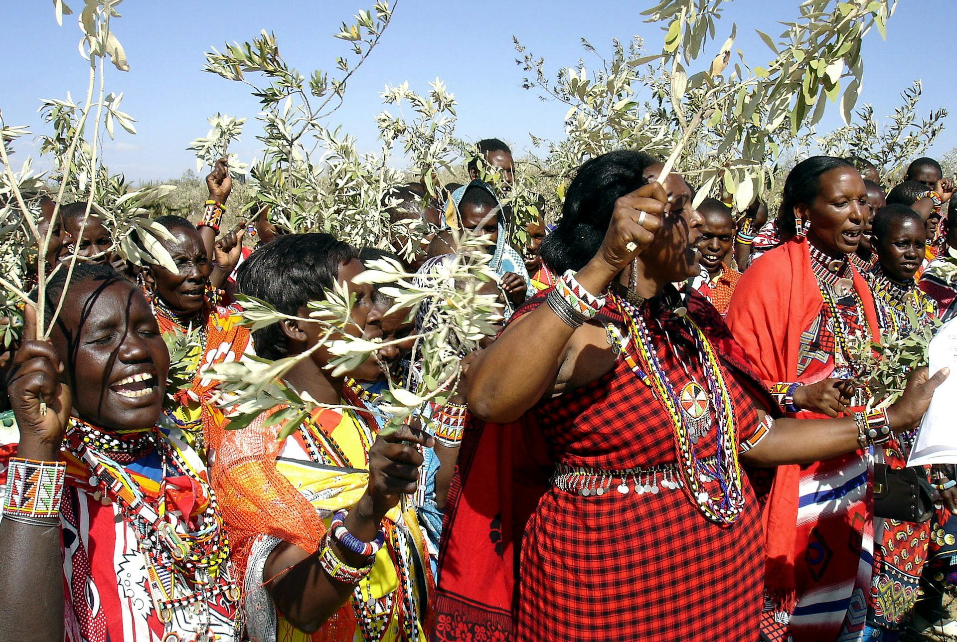 Conservation decisions must protect the livelihoods of people living in ...