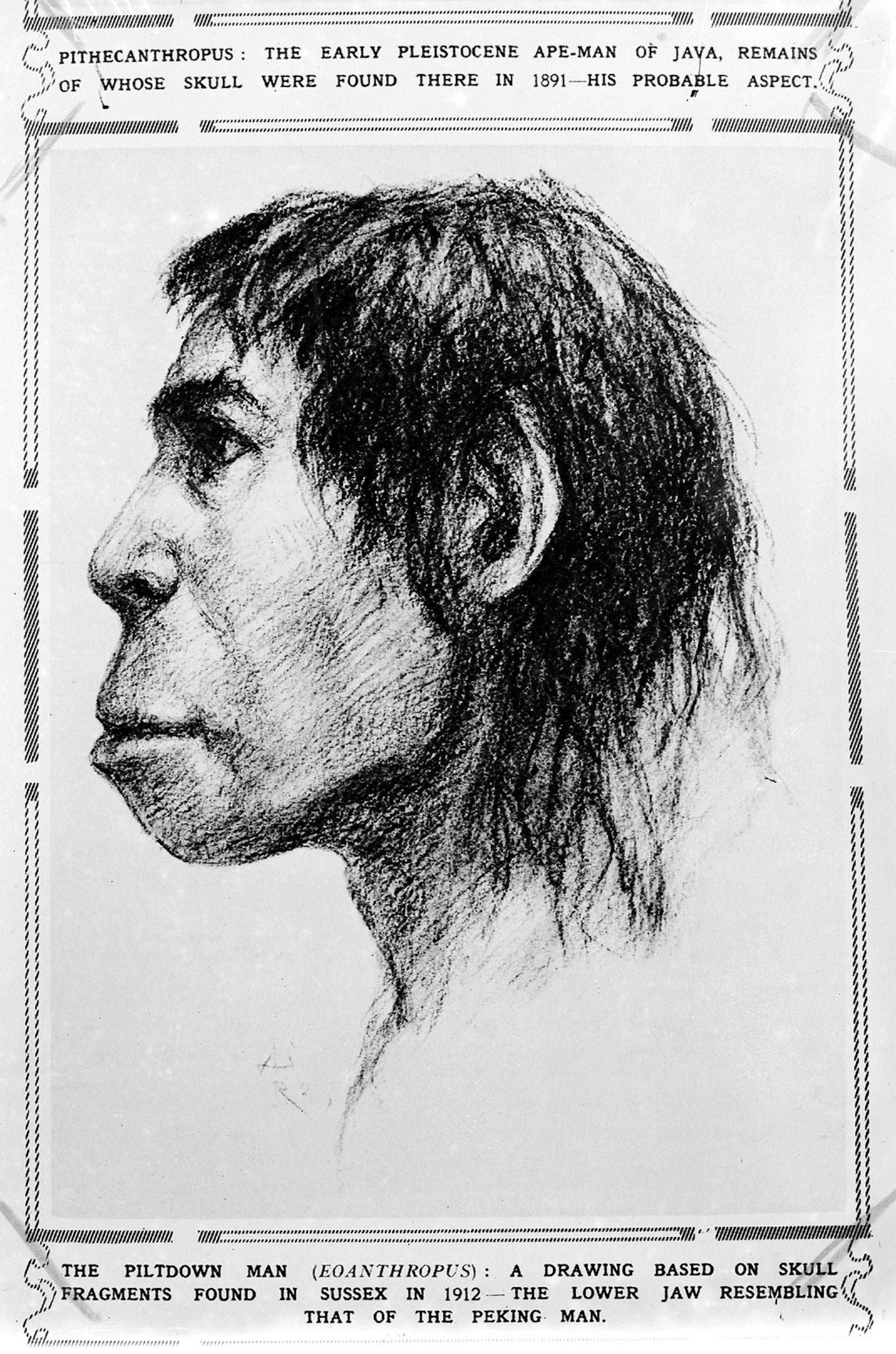 A new twist to whodunnit in science’s famous Piltdown Man hoax
