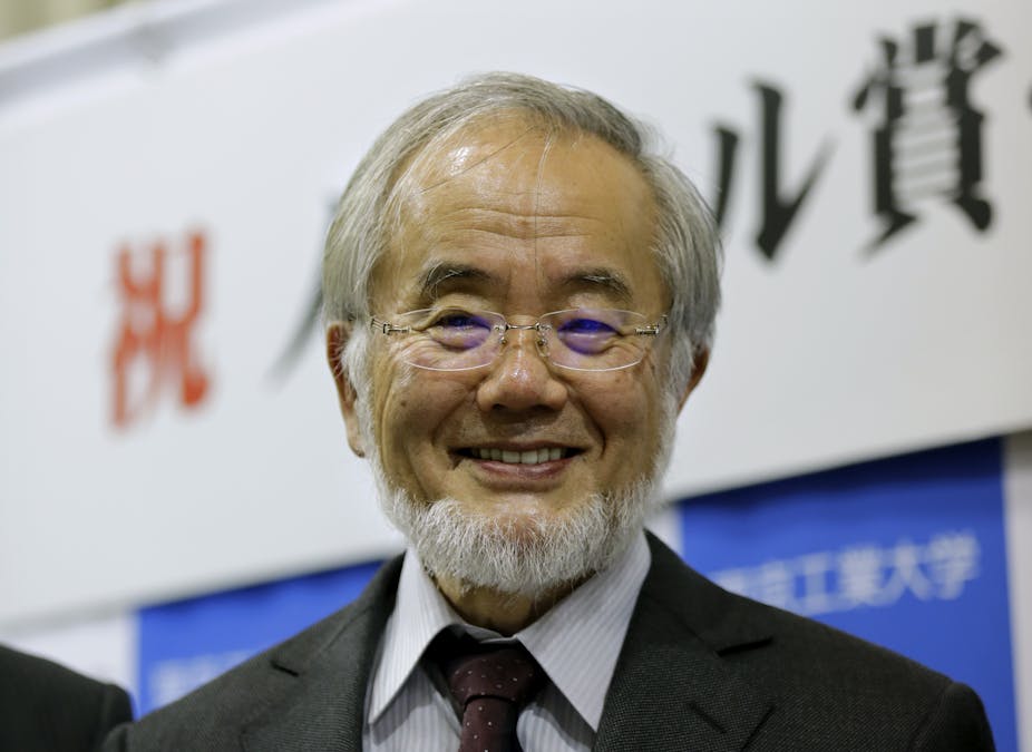 Yoshinori Ohsumi – a deserving winner of the Nobel Prize for physiology ... Yoshinori Ohsumi – a deserving winner of the Nobel Prize for physiology ...