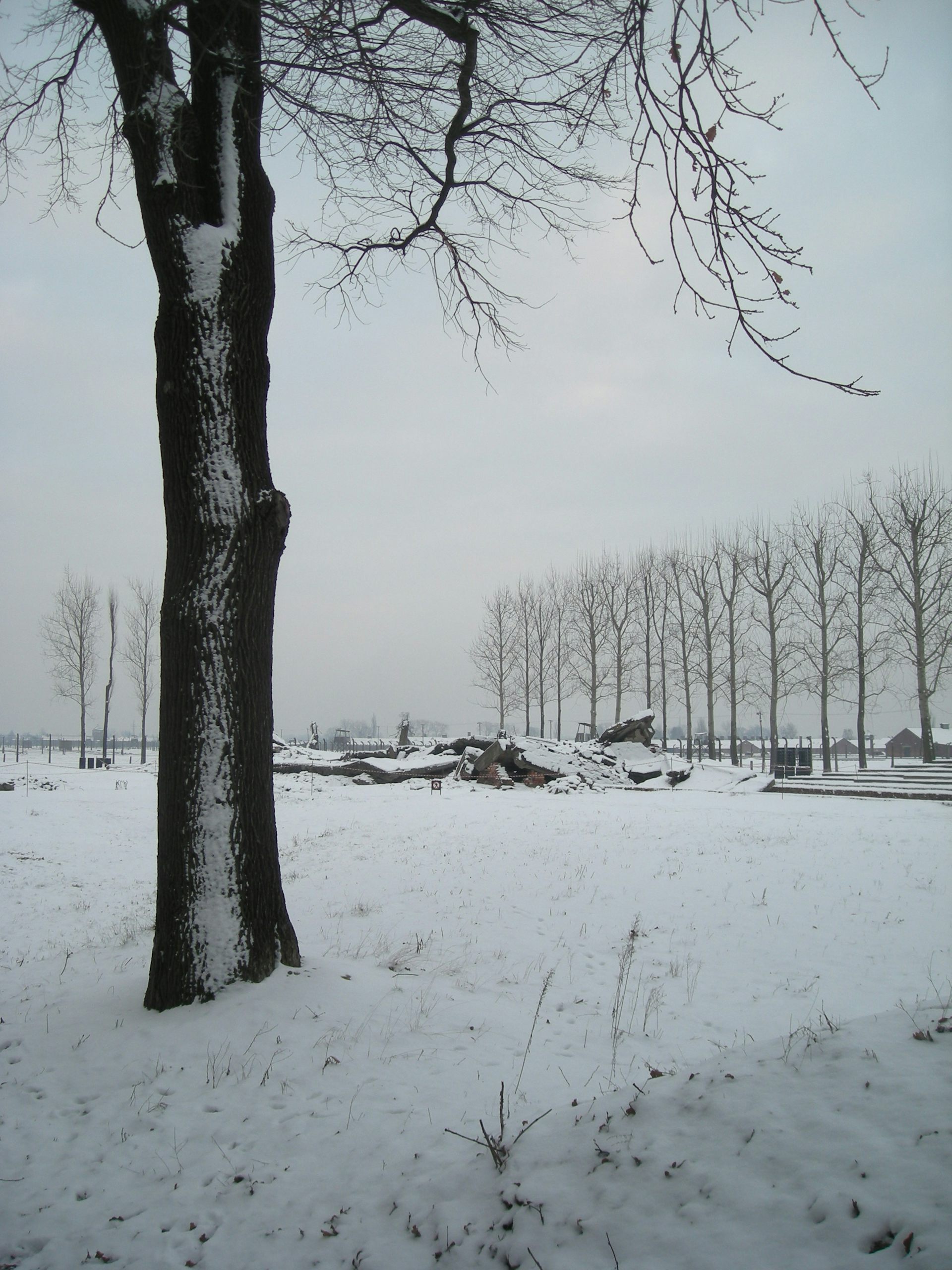 Stories from Holocaust prisoners forced to work in the gas chambers ...