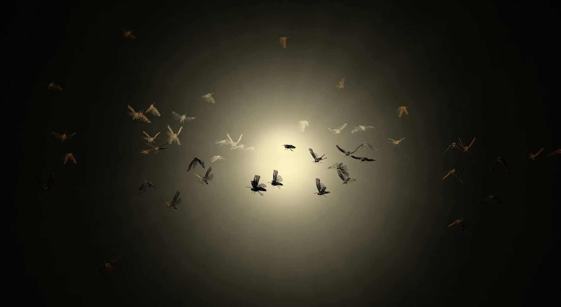 The Moth Snowstorm: an environmental call to arms as powerful as Silent ...