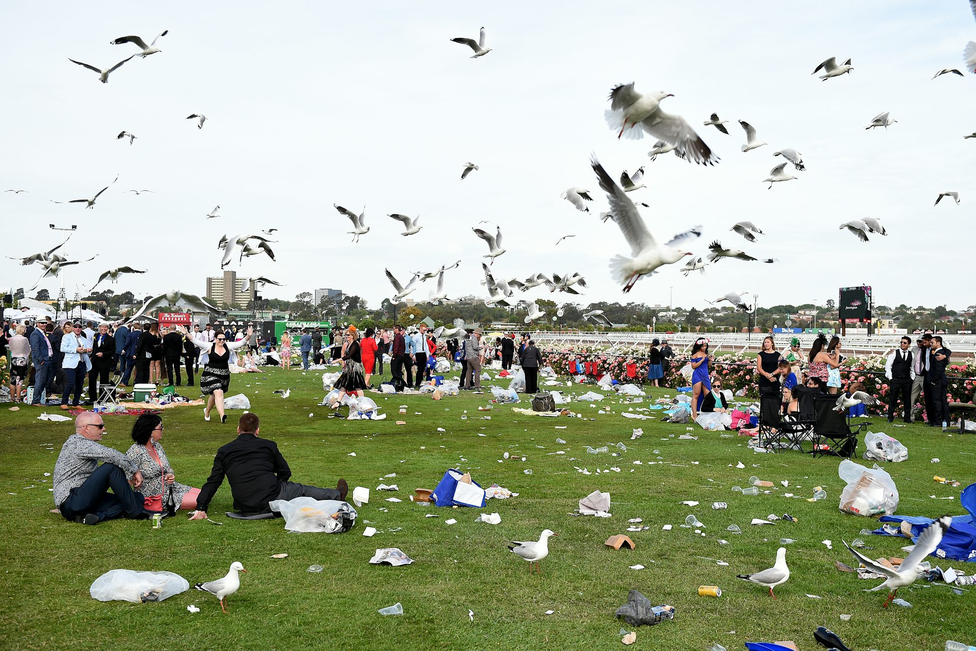 Vital Signs: Melbourne Cup day rate cut less likely