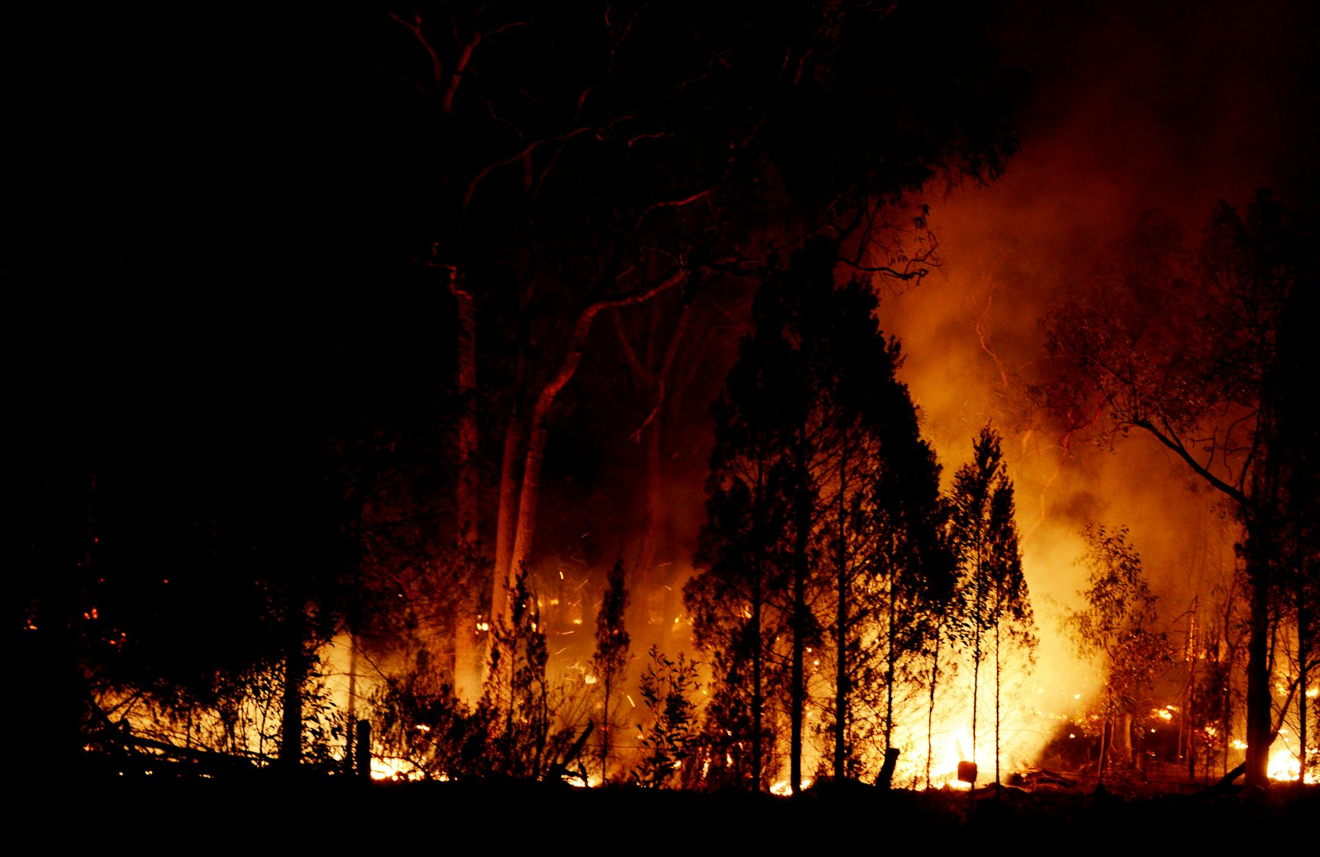 Unnatural disasters: how we can spot climate’s role in specific extreme ...