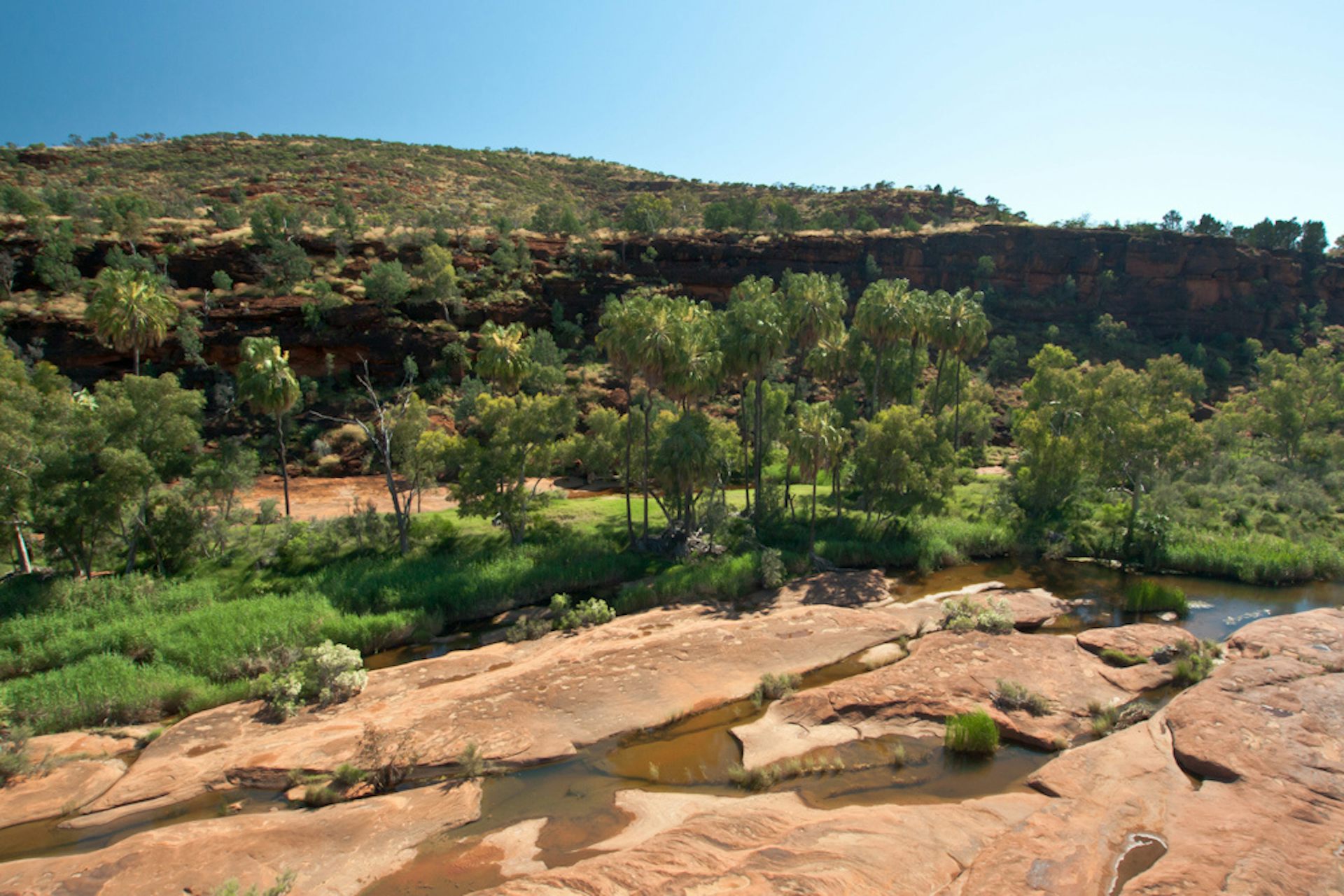 What is a native and why should we care?