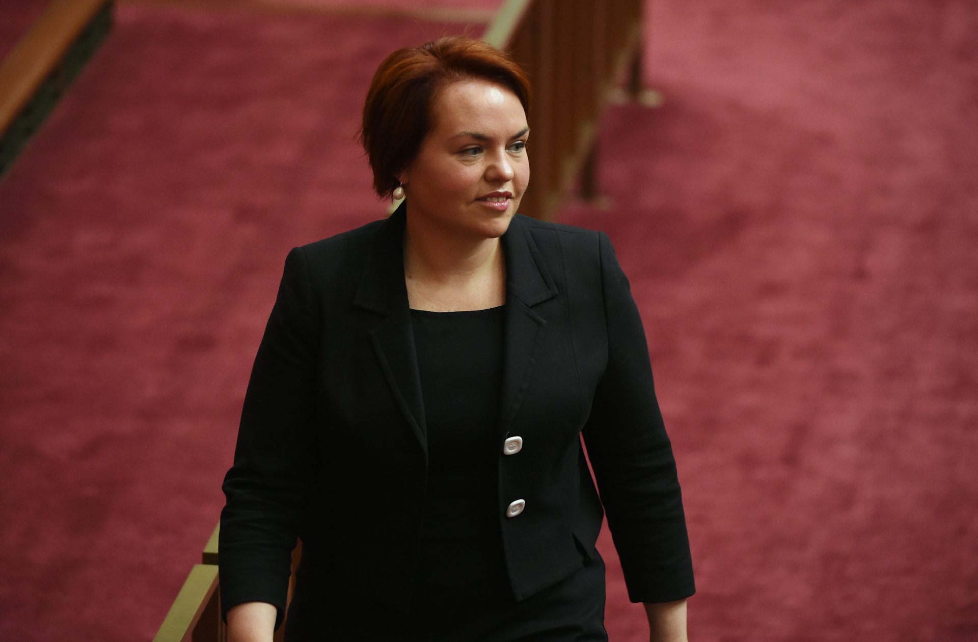 Senate targets Kitching’s ‘untruthful’ evidence to commission