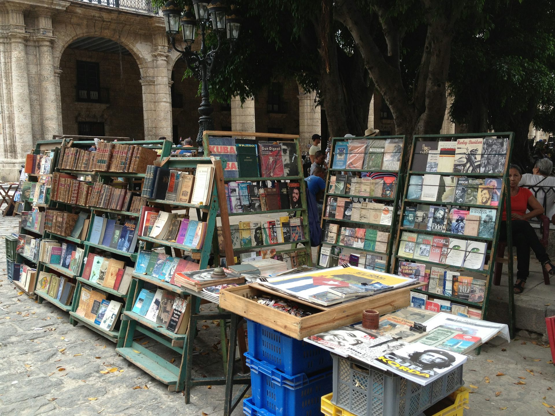 Education and art for all: Castro’s cultural legacy