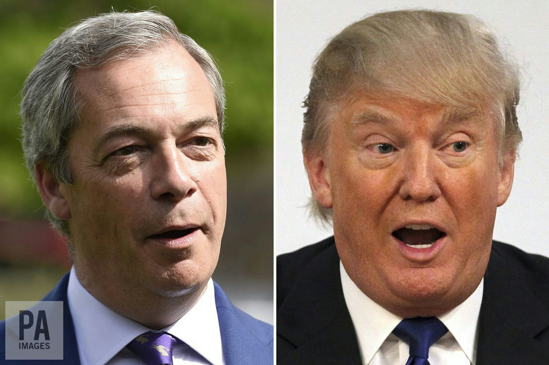 Where is the ‘alt-left’ on social media?