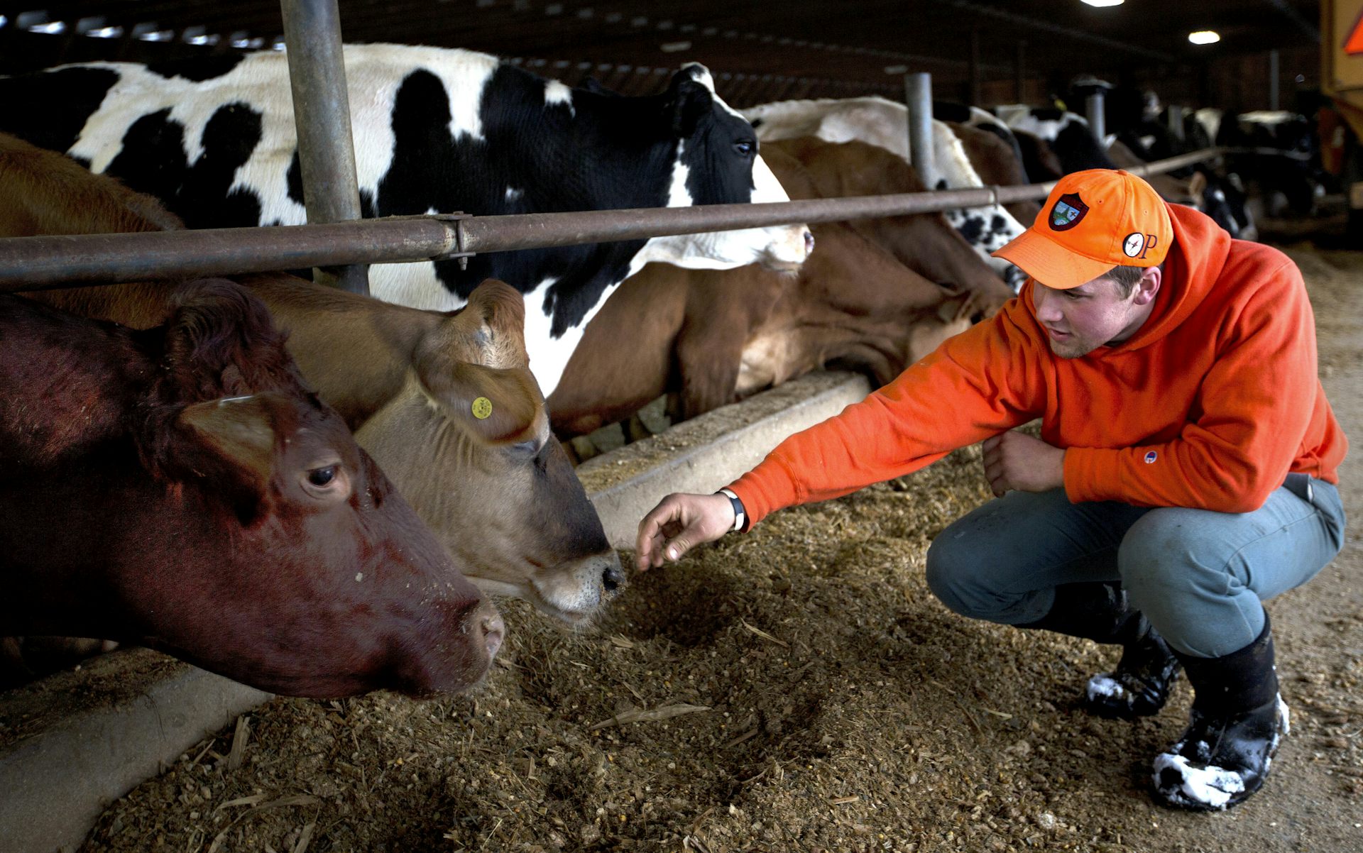 Rural America matters to all Americans