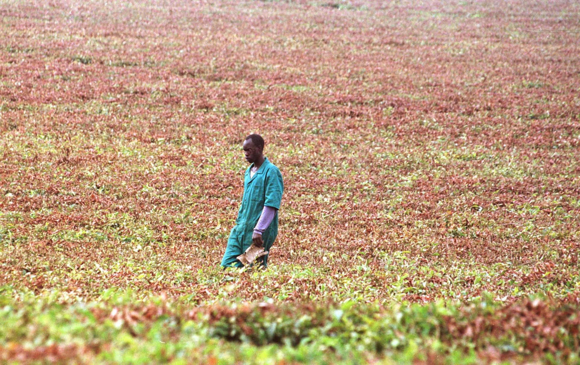 Response to climate change is critical as risk of disease outbreaks grows