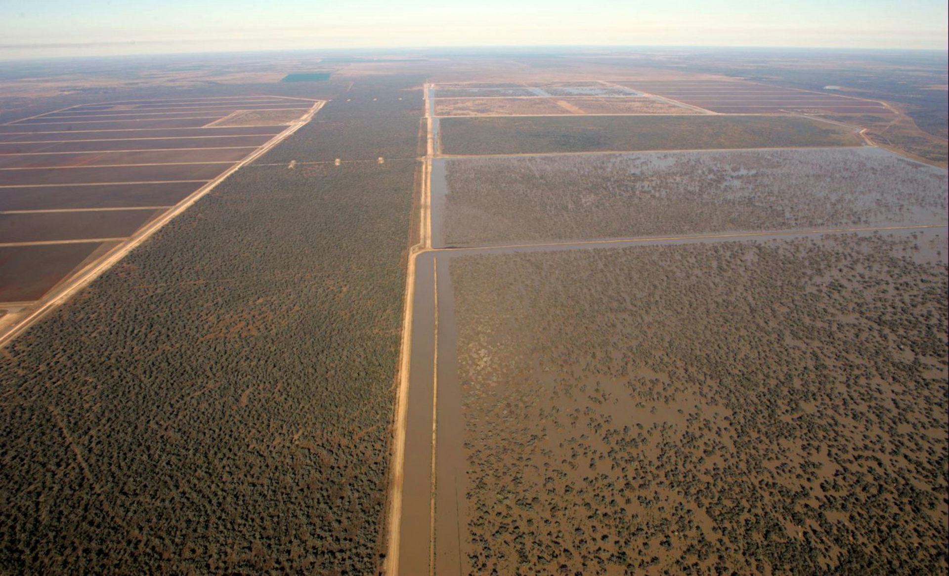 Cubbie Station sale no threat to food security