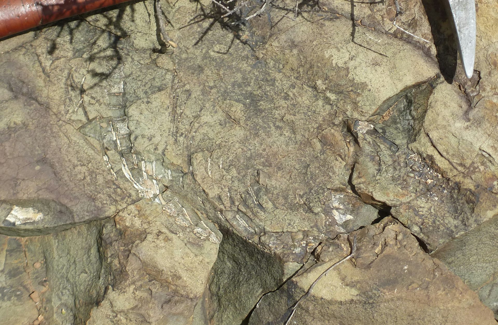 When it comes to big finds, scientists need more than just luck and chance