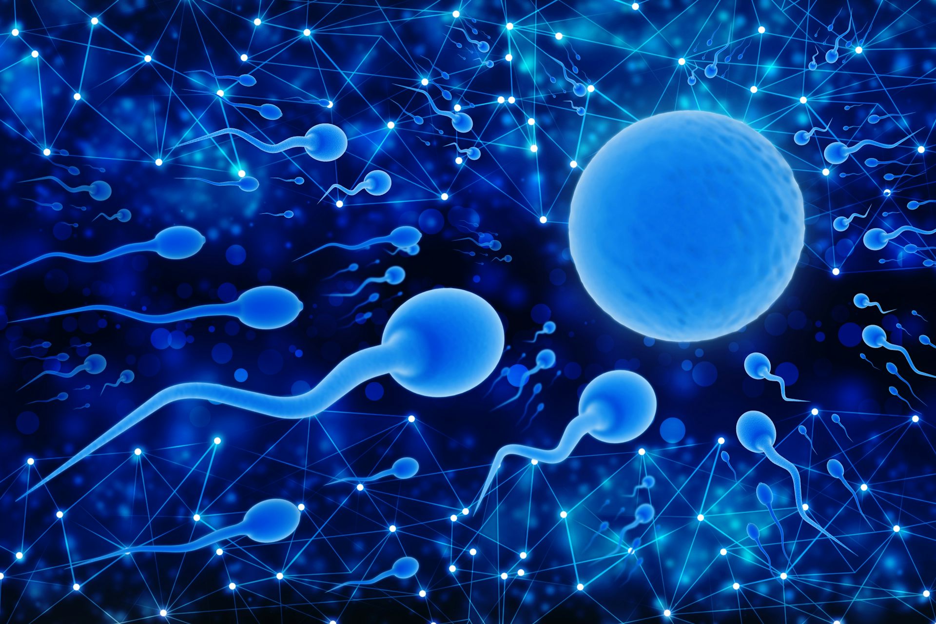 Why South Africa should redefine disability to include infertility