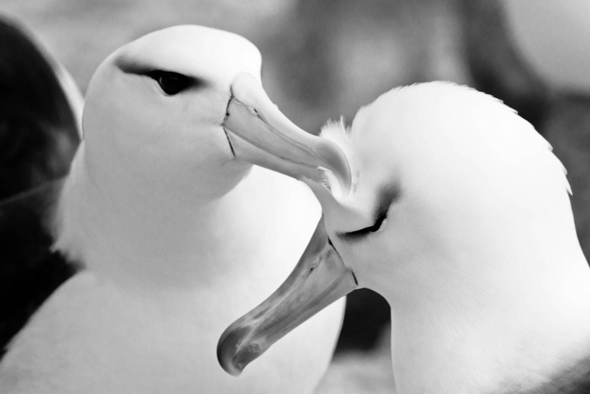 Super trawler not the only fishing problem needing review