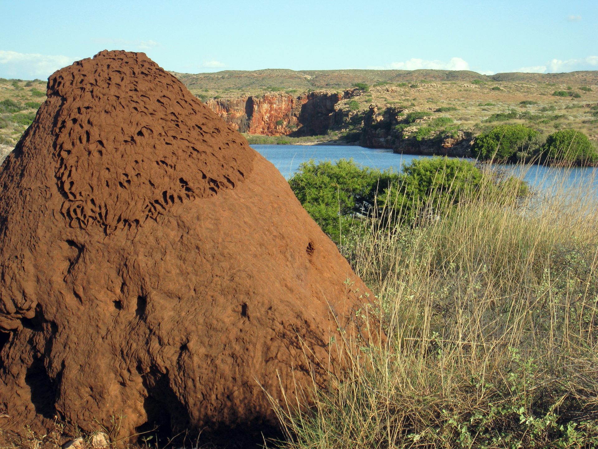From Tim Winton to Gail Jones: why writing matters in WA