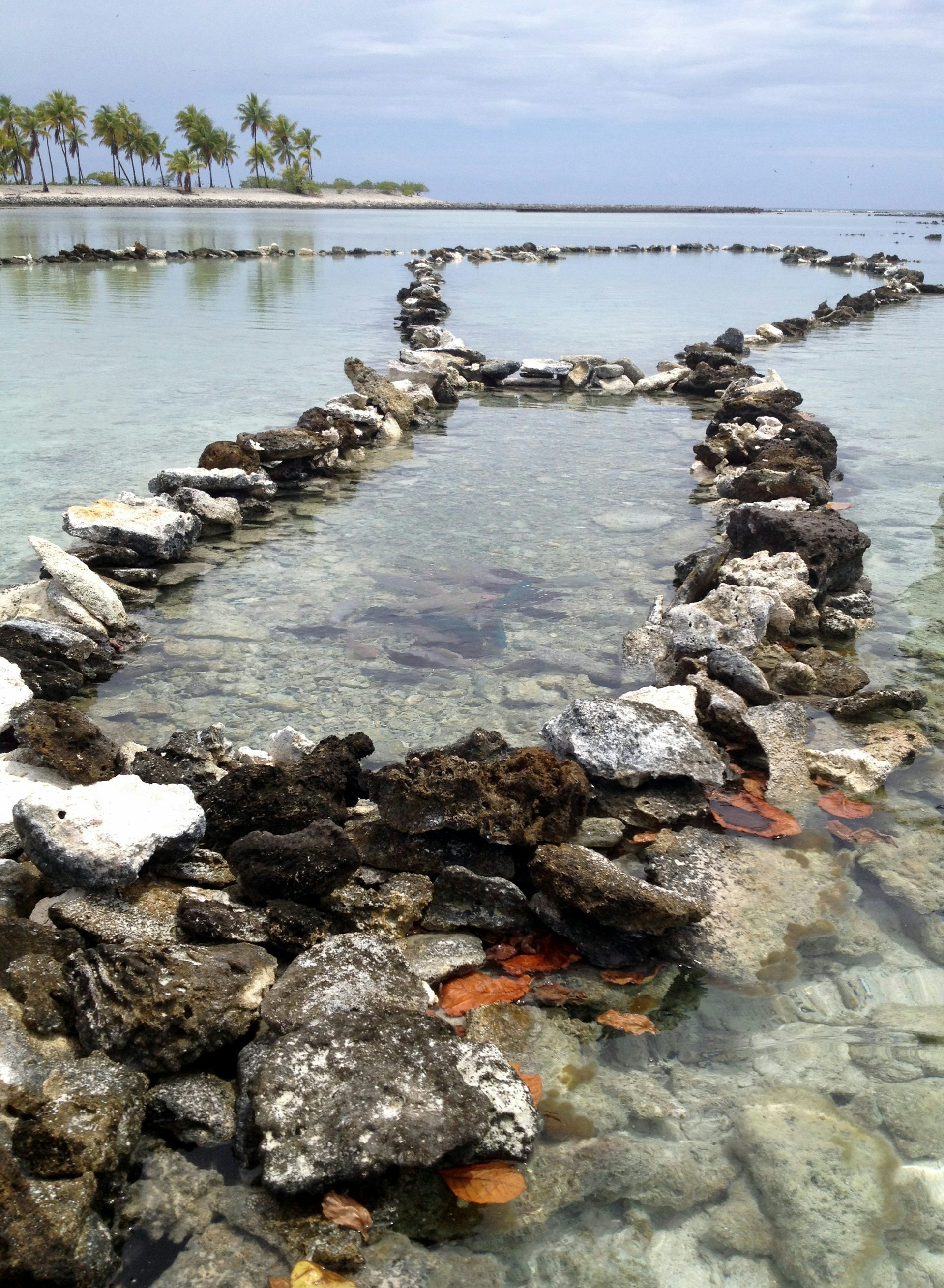 For indigenous communities, fish mean much more than food